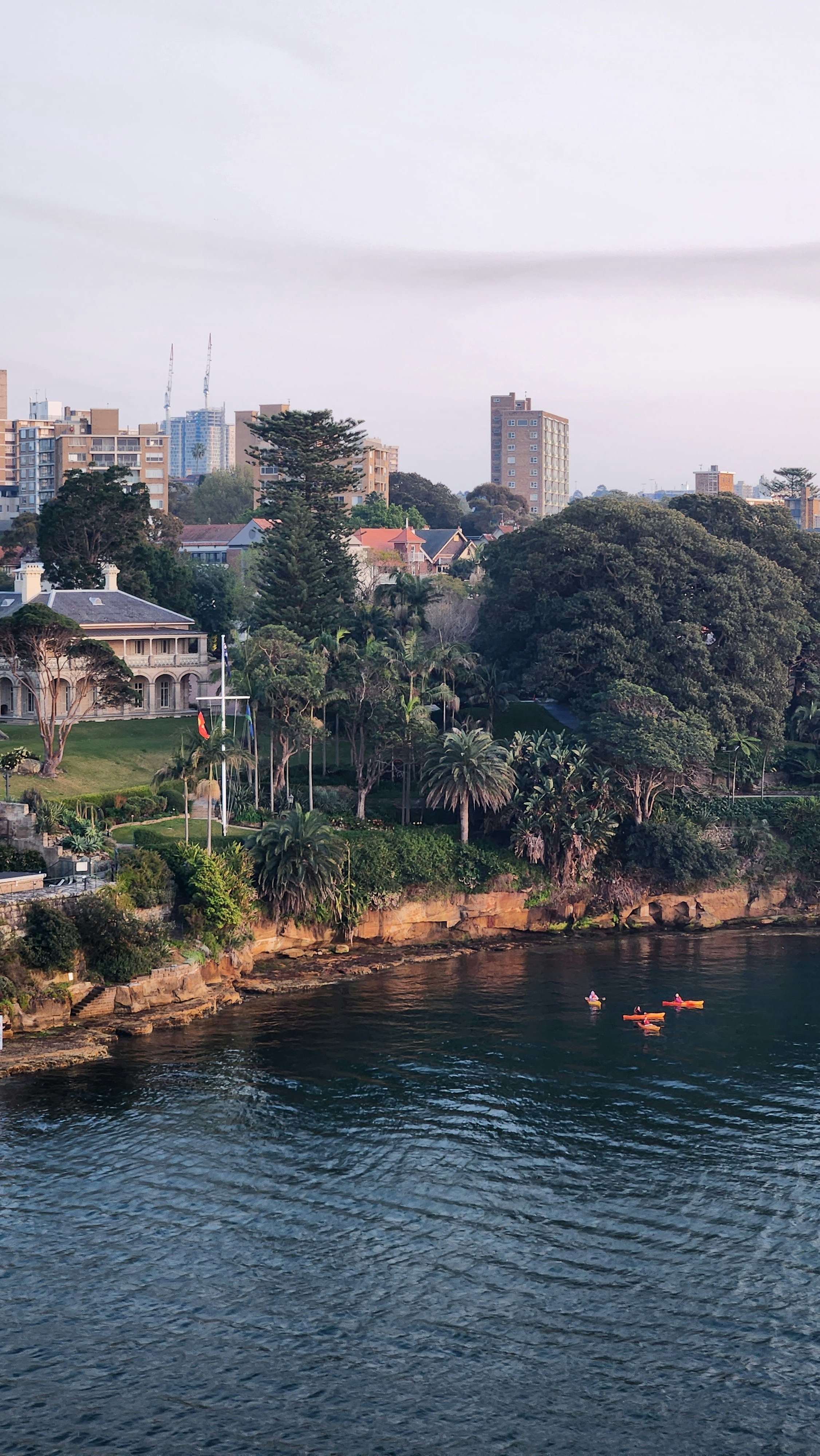 Riverside Vista: Palm-Lined Shore and a Distant City Horizon
