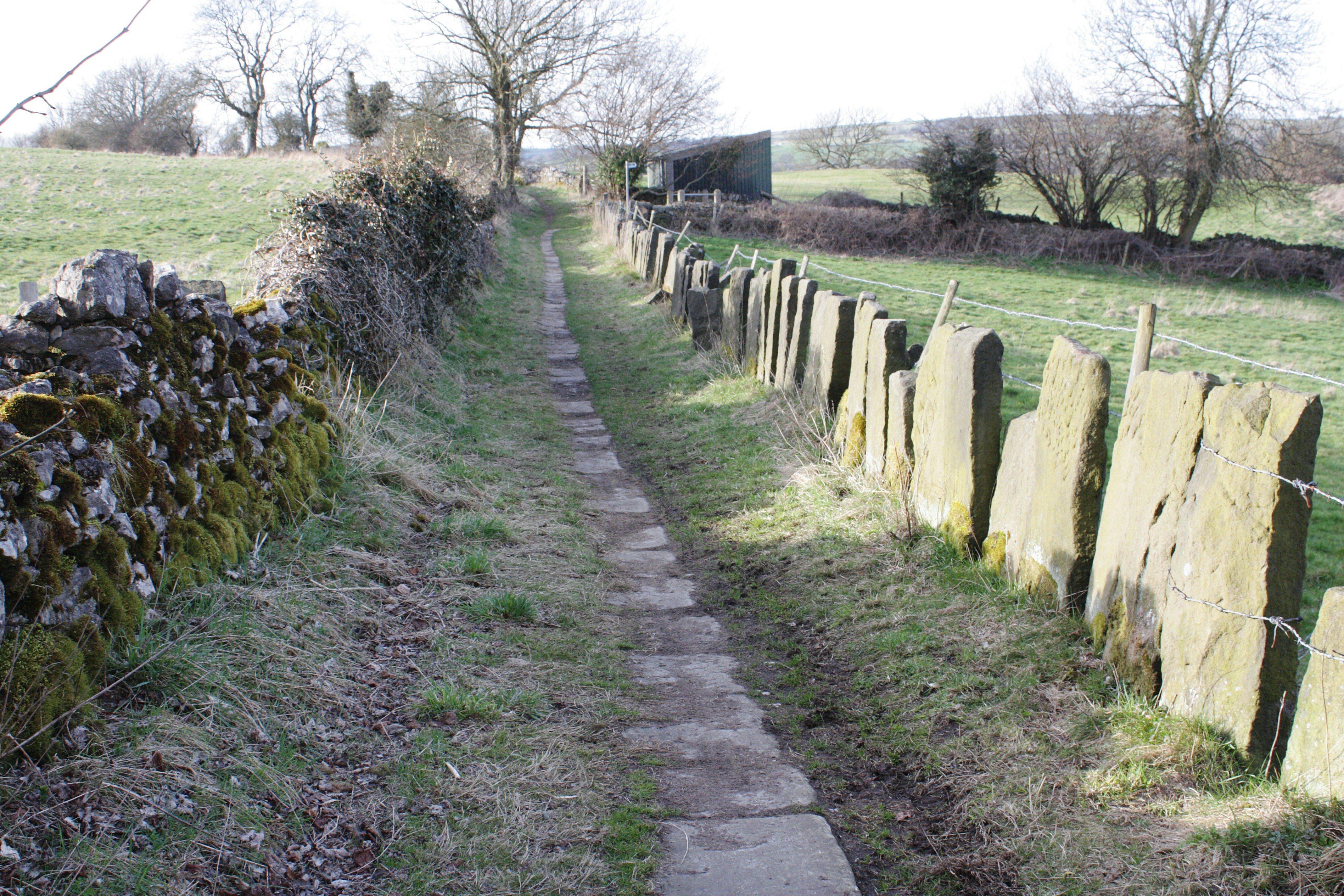 Between Stone Sentinels: a sunlit country path fading toward the horizon