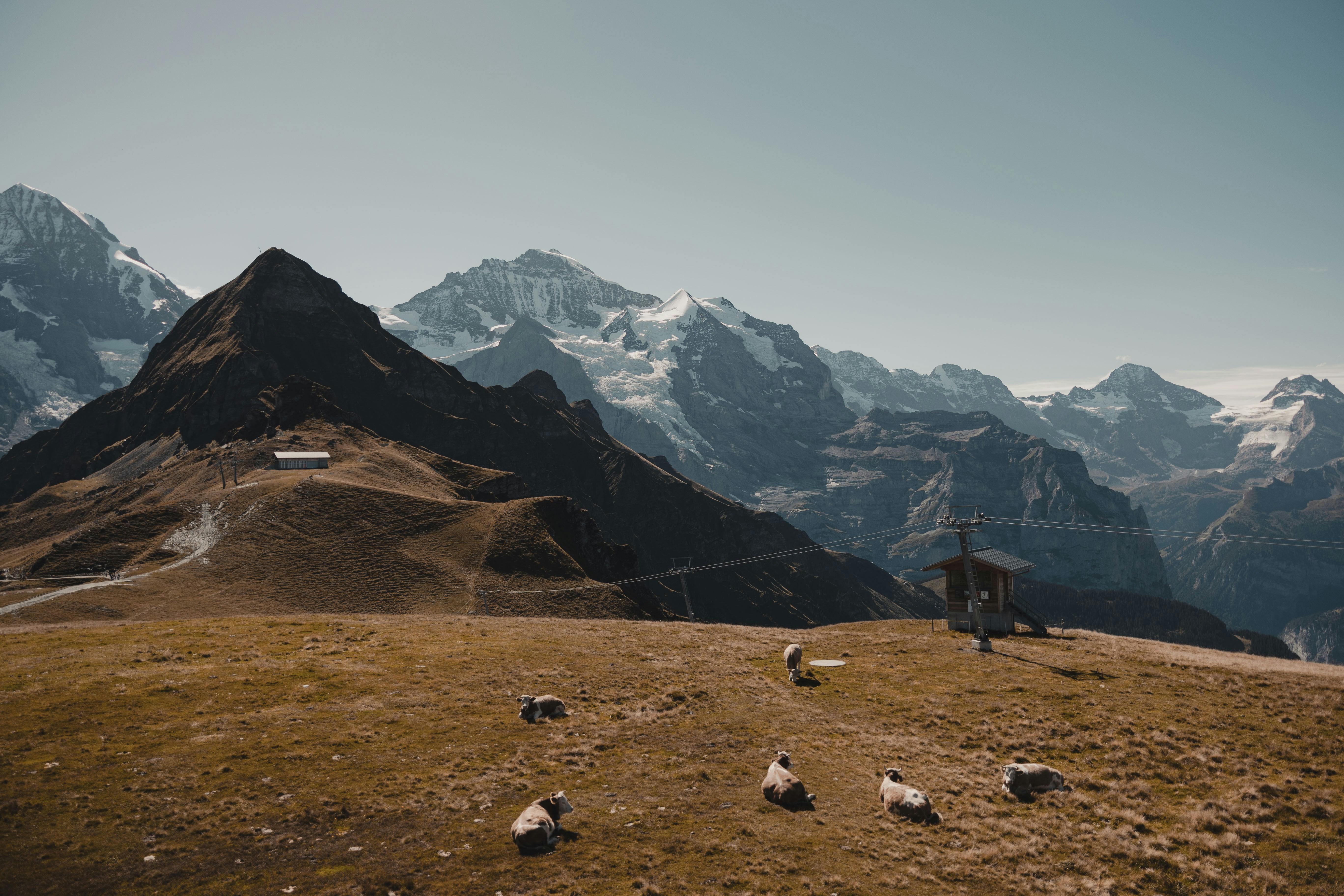 Majestic Alpine Serenity