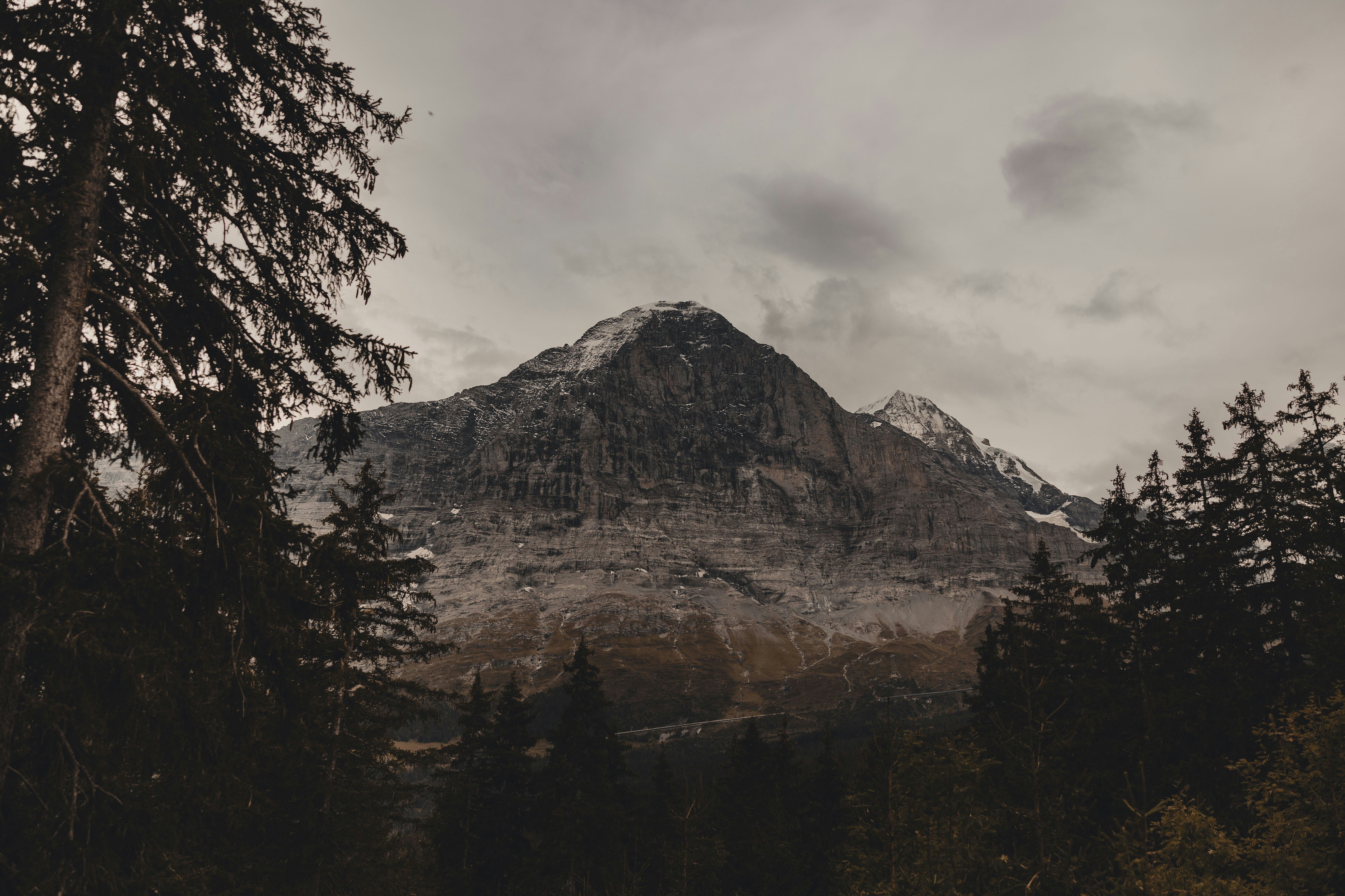 Dusk over a Silent Alpine Peak Framed by Dark Pines