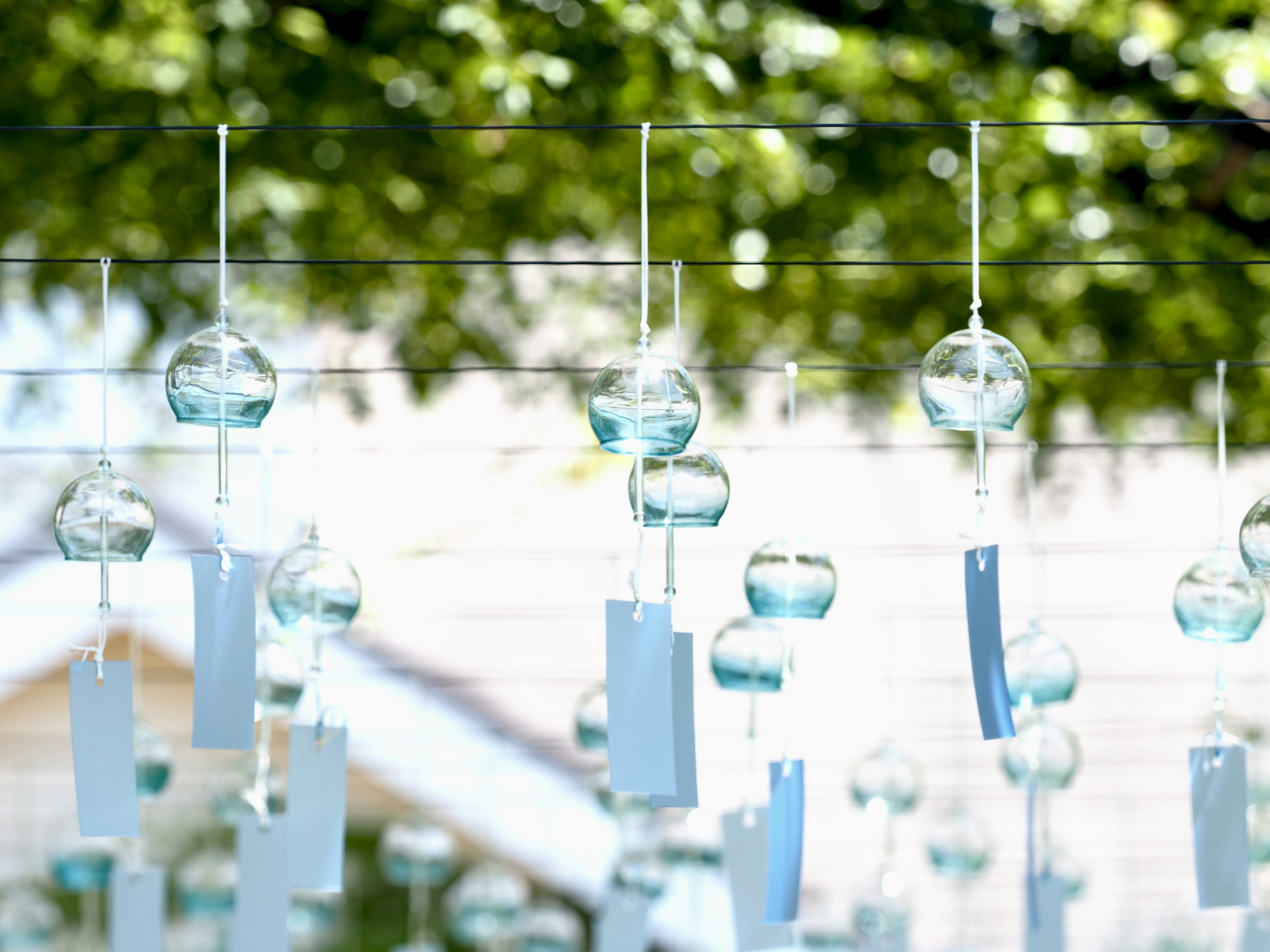 Delicate glass wind chimes suspended on strings, catching sunlight amidst a lush green backdrop.
