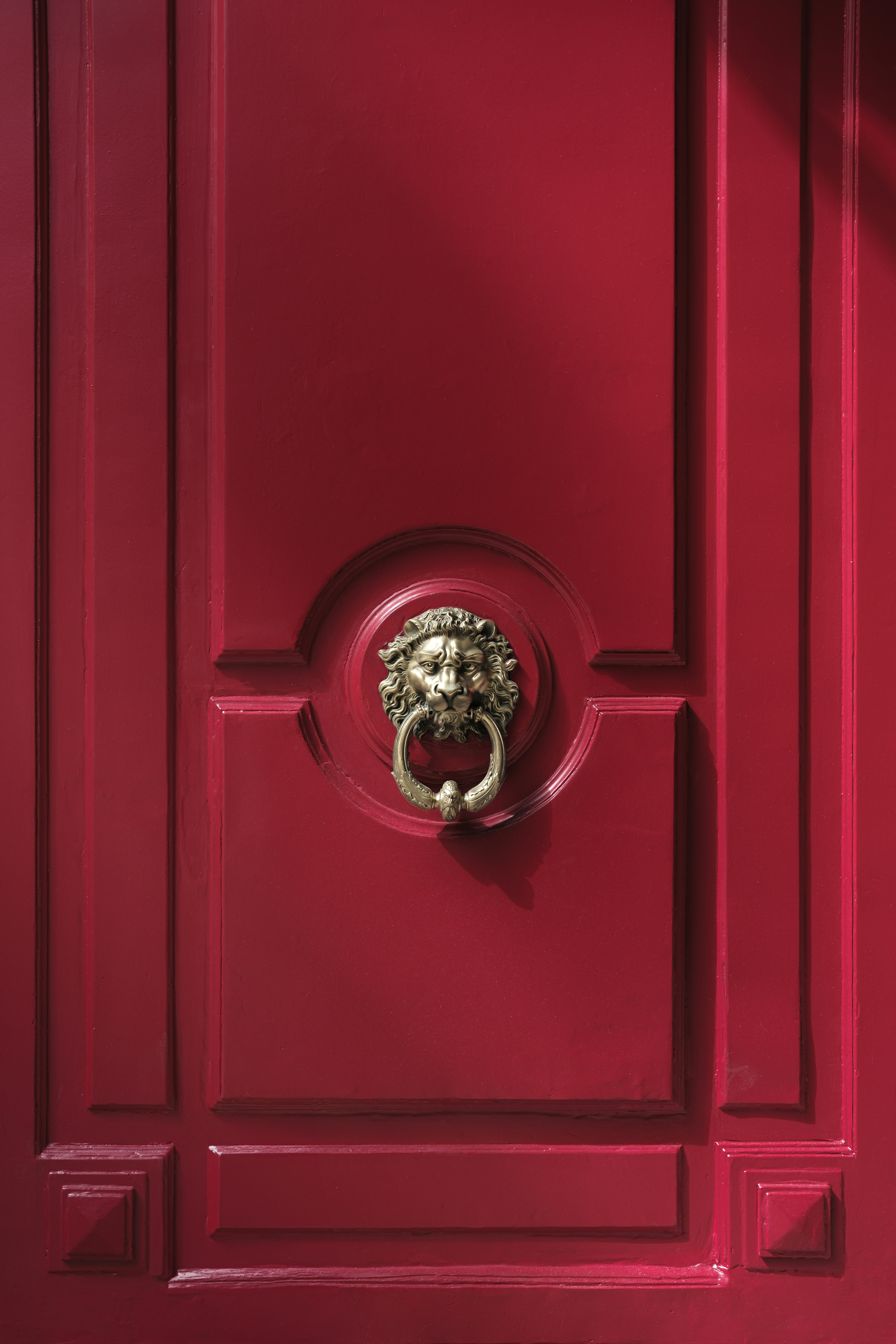 Red Door Latch: A Regal Lion Door Knocker on a Plush Crimson Panel