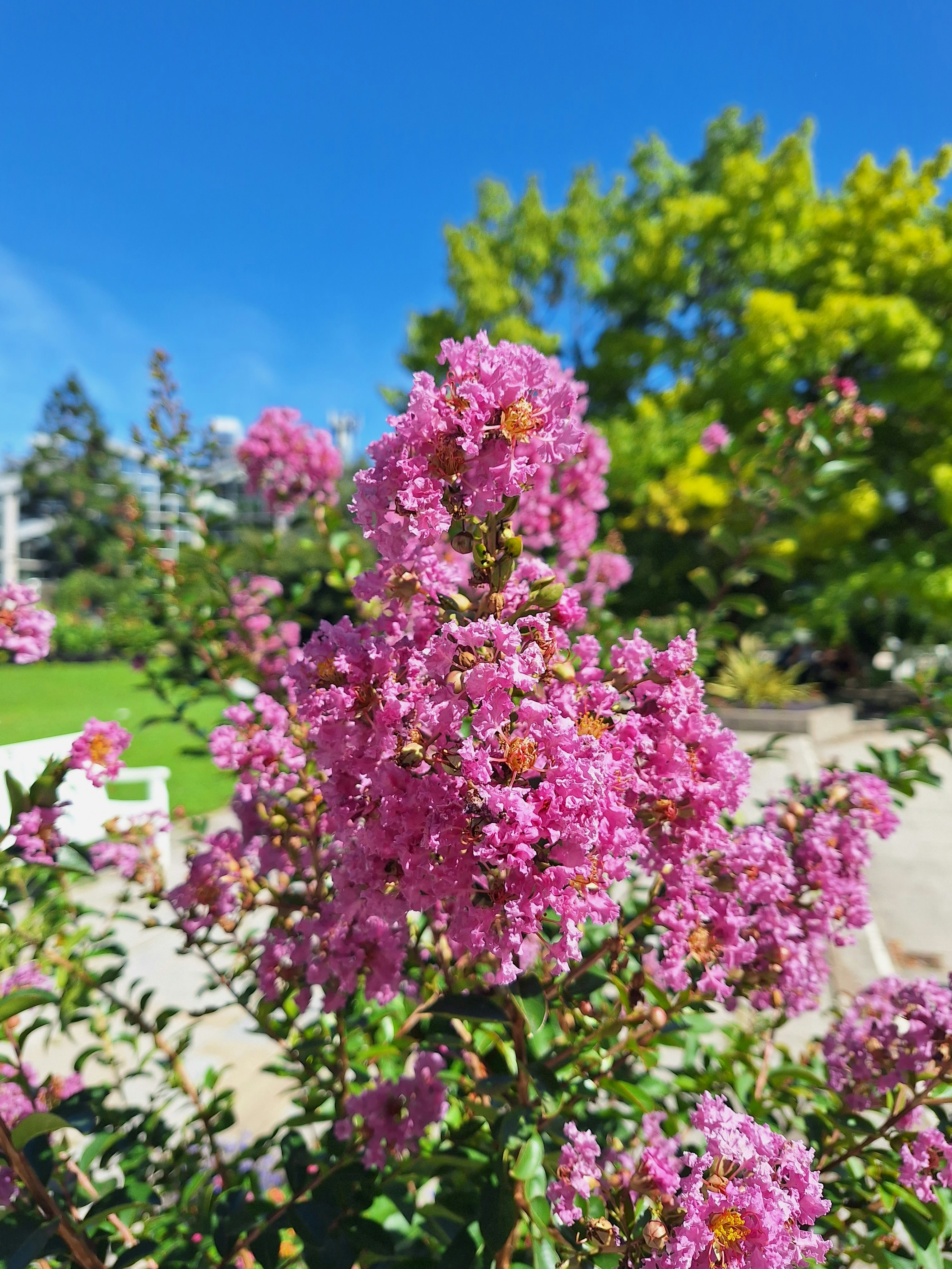 Photo by Calin Oancea with Samsung Galaxy A54