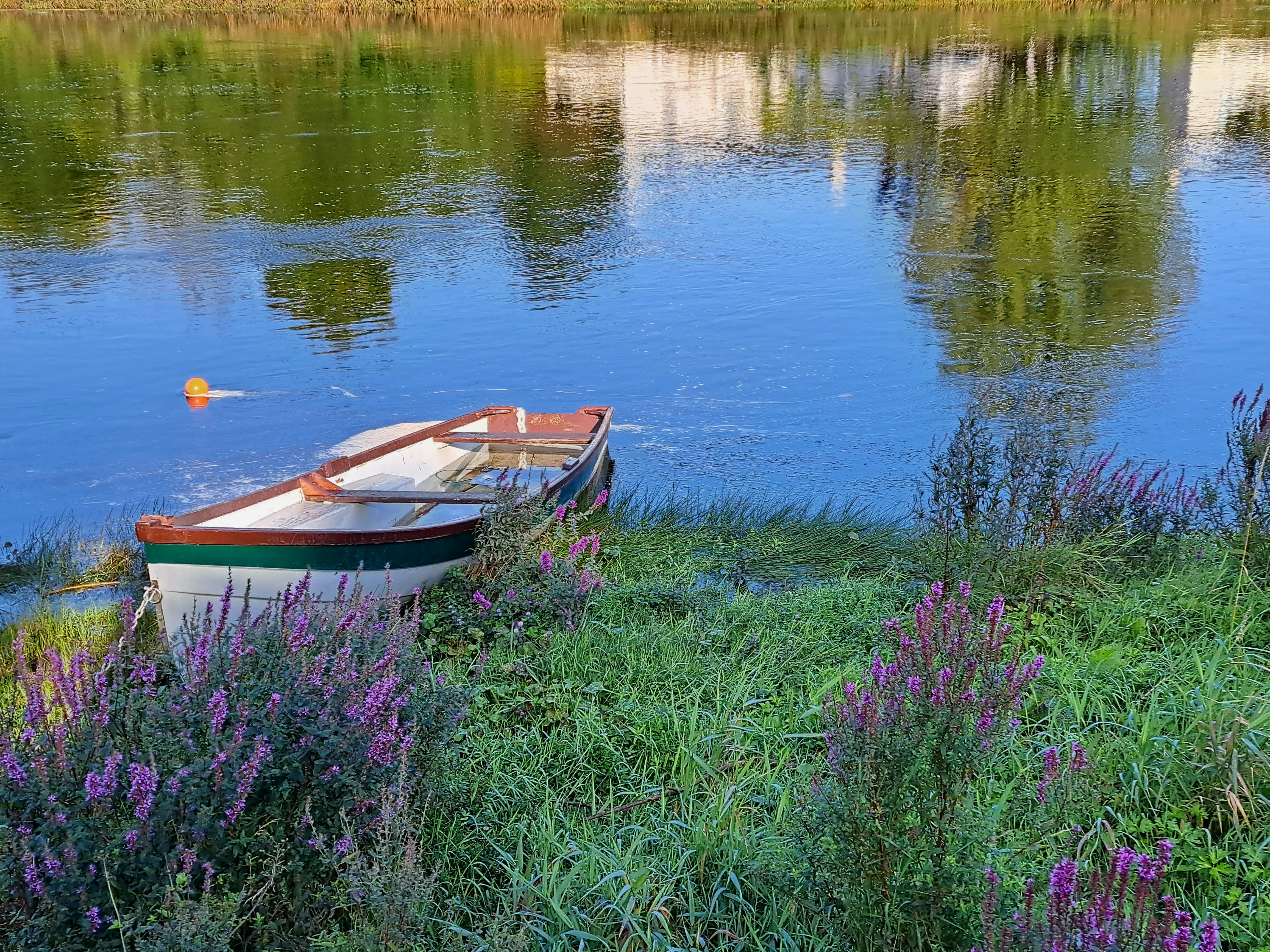 Photo by Fiona Dodd with Samsung Galaxy A53