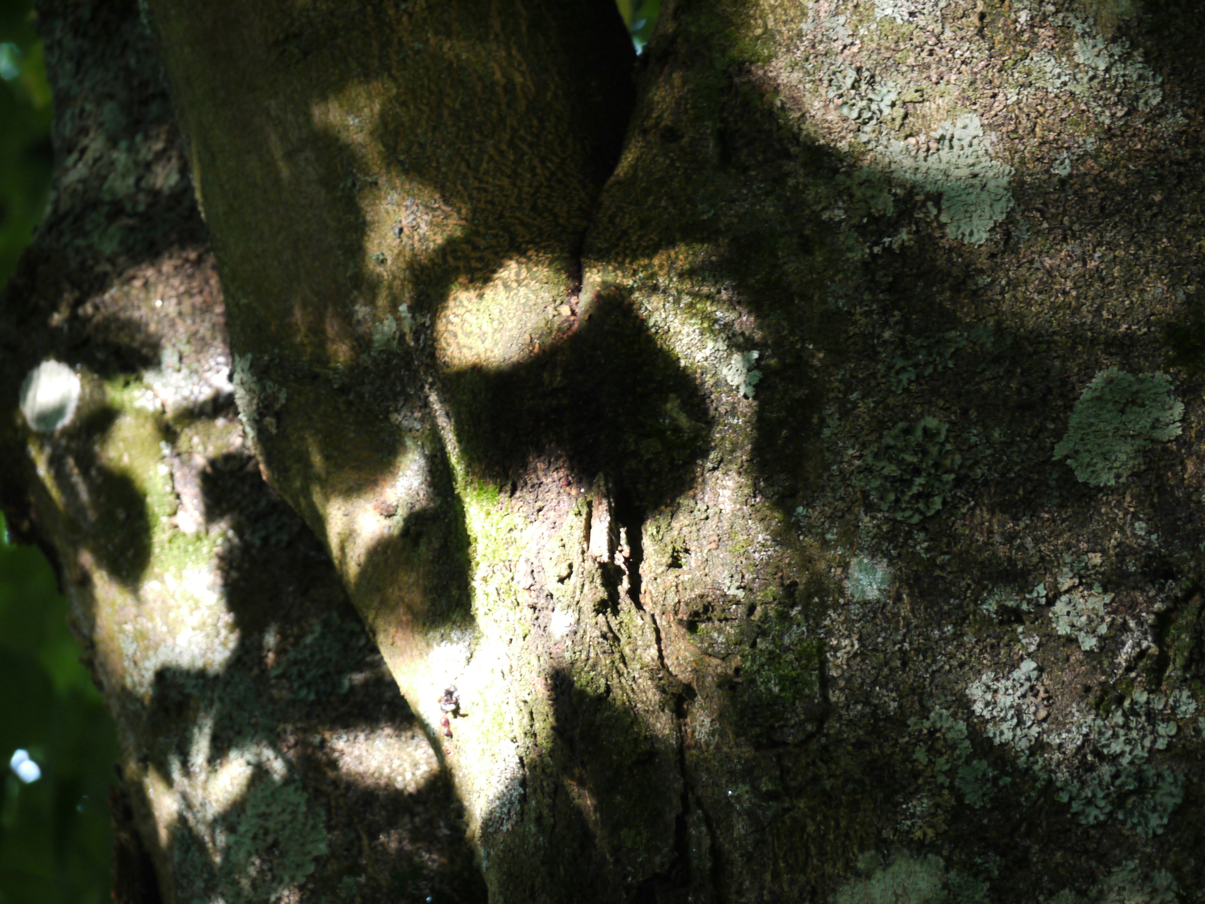 Sample photo from Panasonic Lumix G10