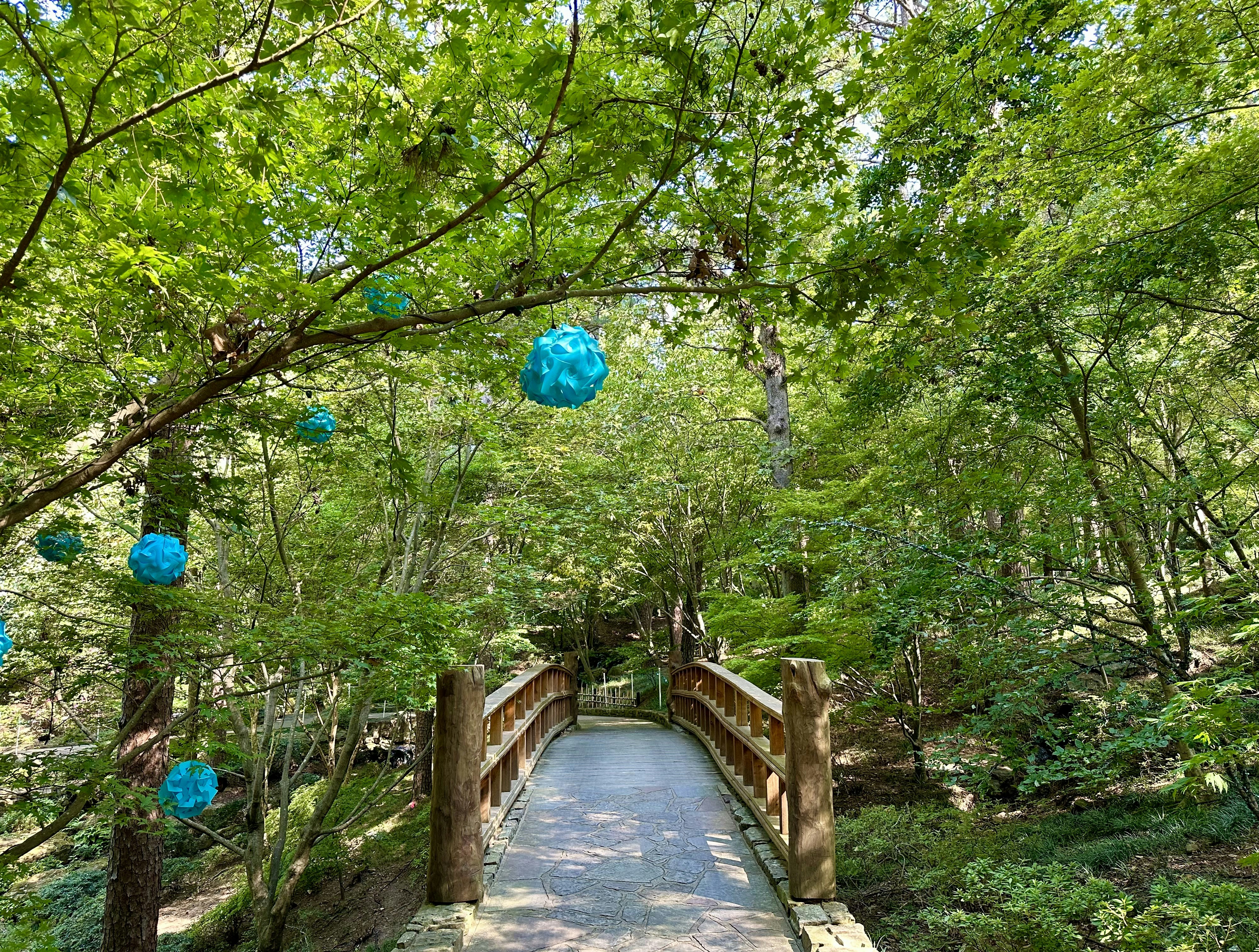 Pathway Through Enchanted Woods