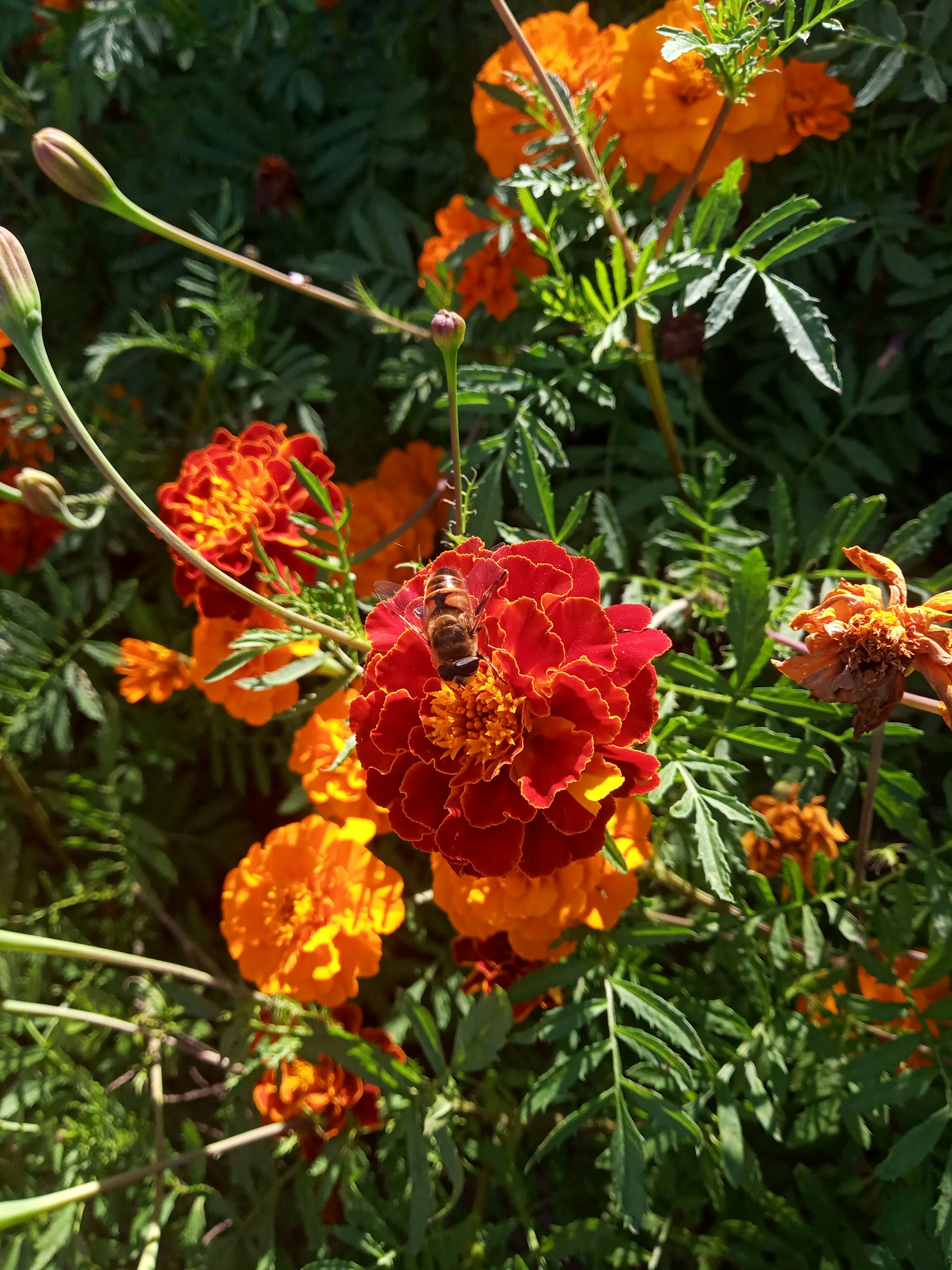 Photo by Dmitry Burdakov with Xiaomi Mi Play