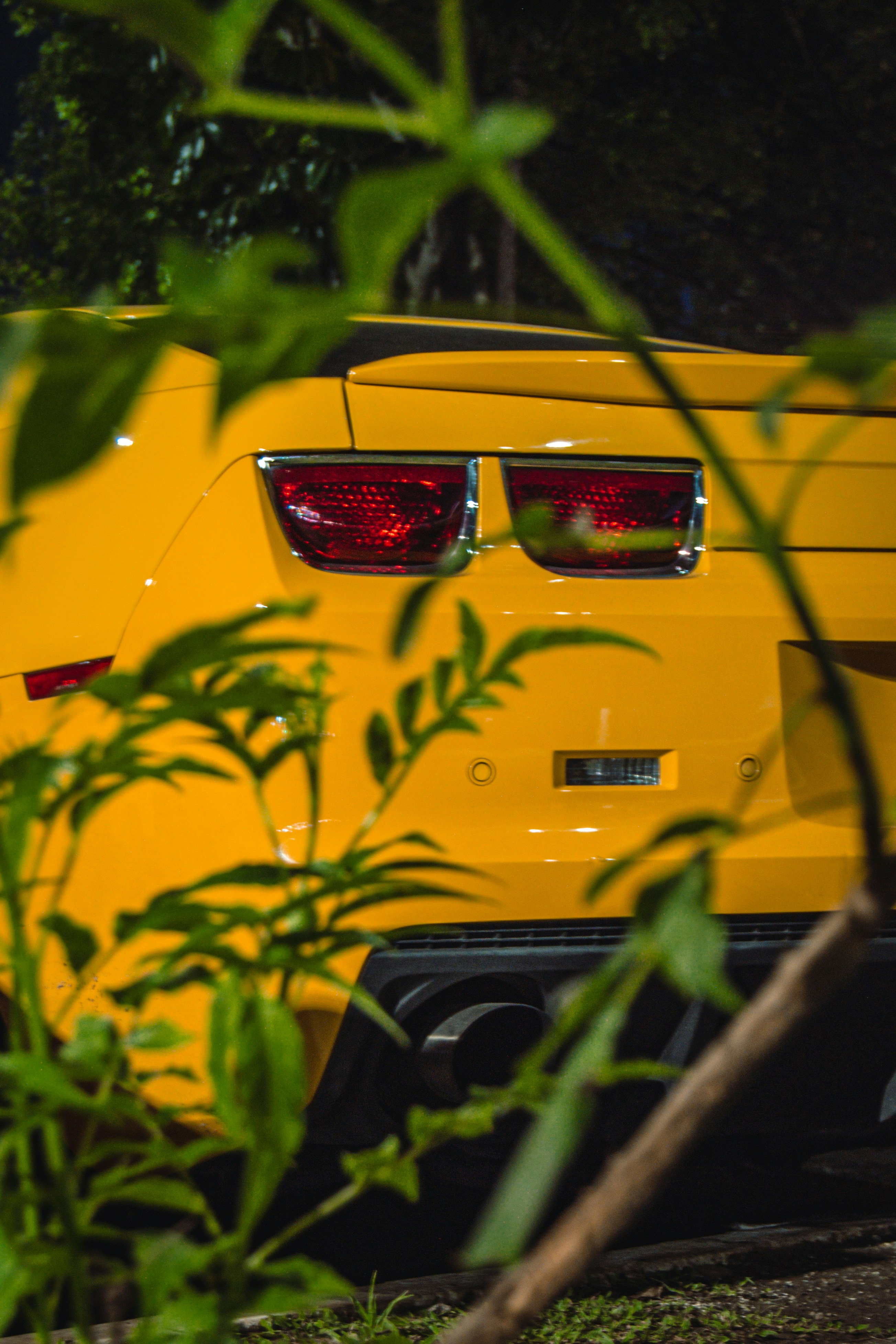 Yellow Mustang Back View Through Green Veil