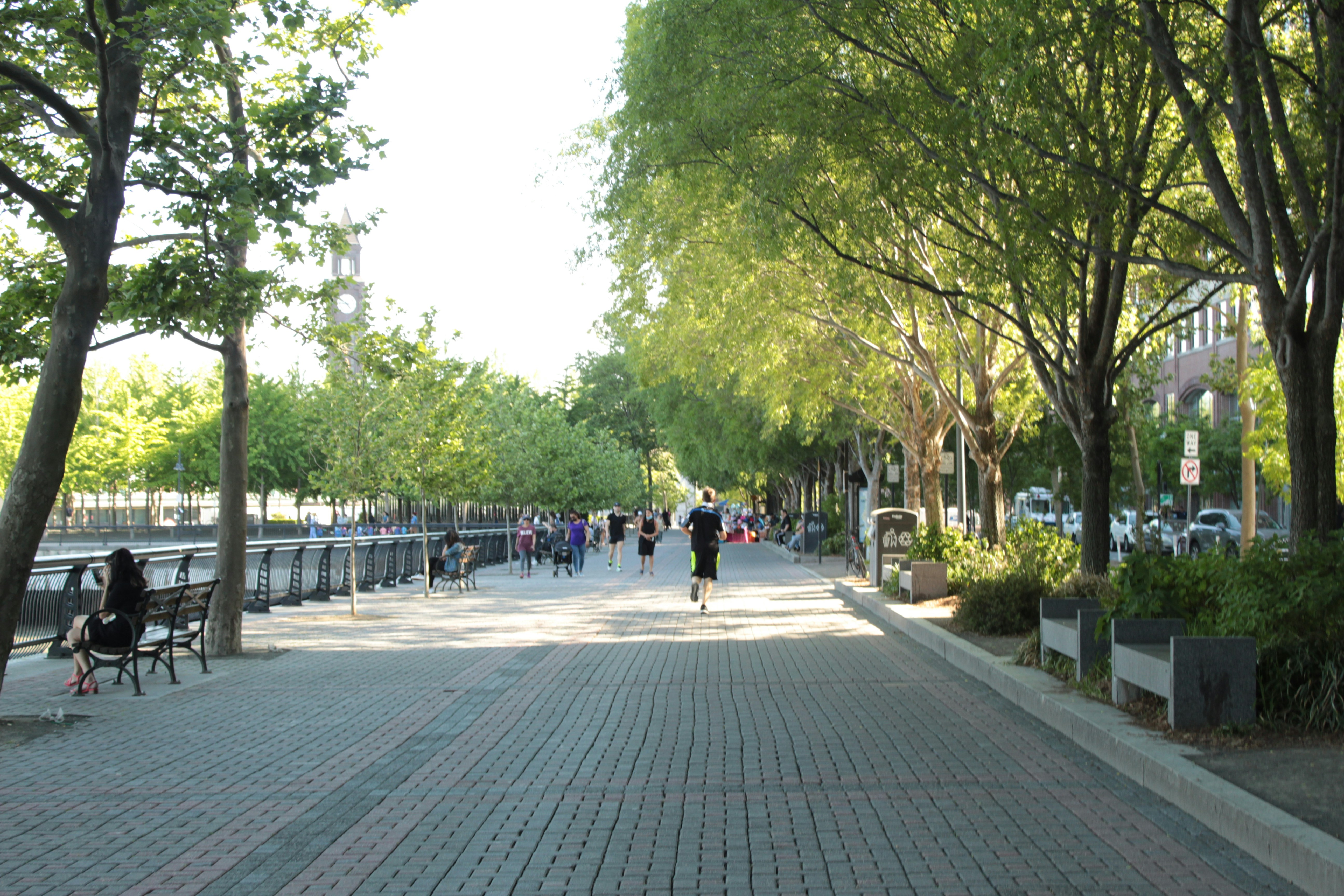 People walking and jogging along a tree-lined sidewalk on a sunny day.