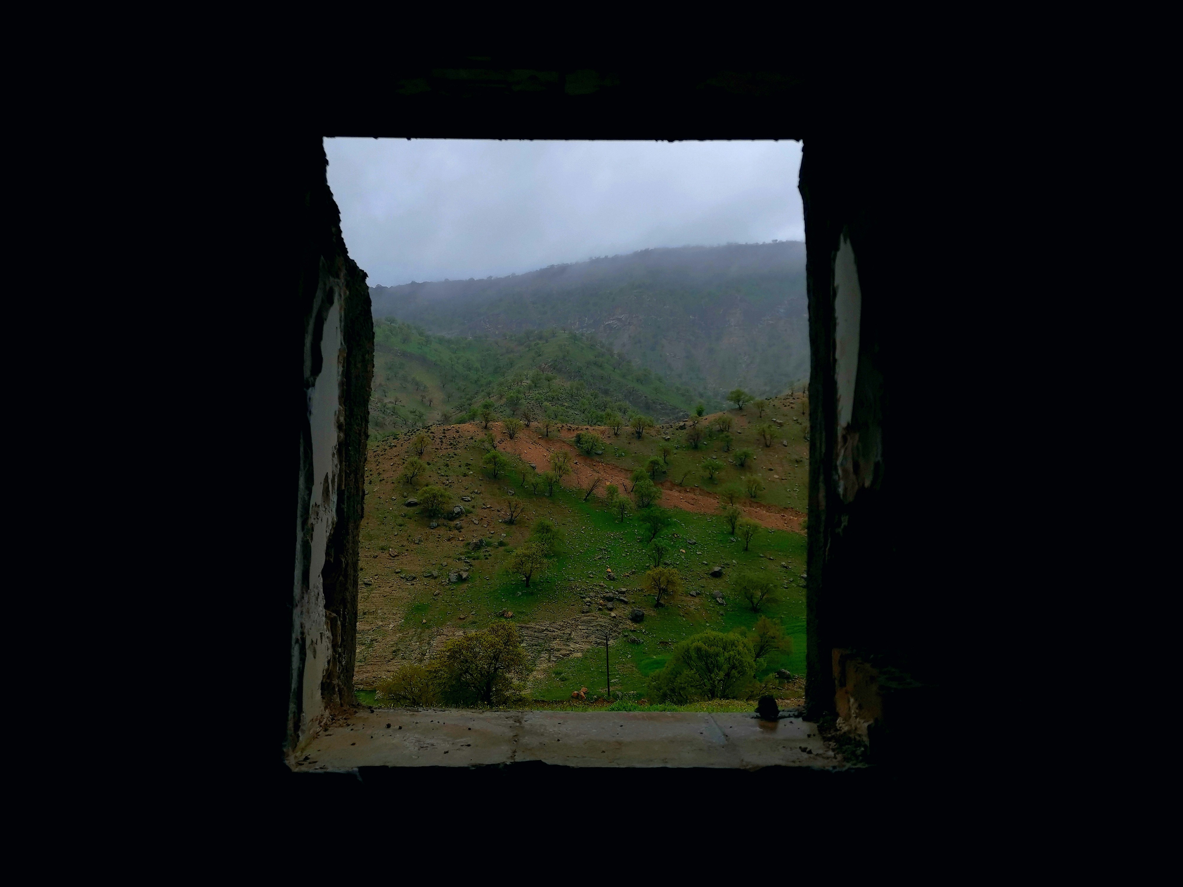 a window in spring season after a rainy day