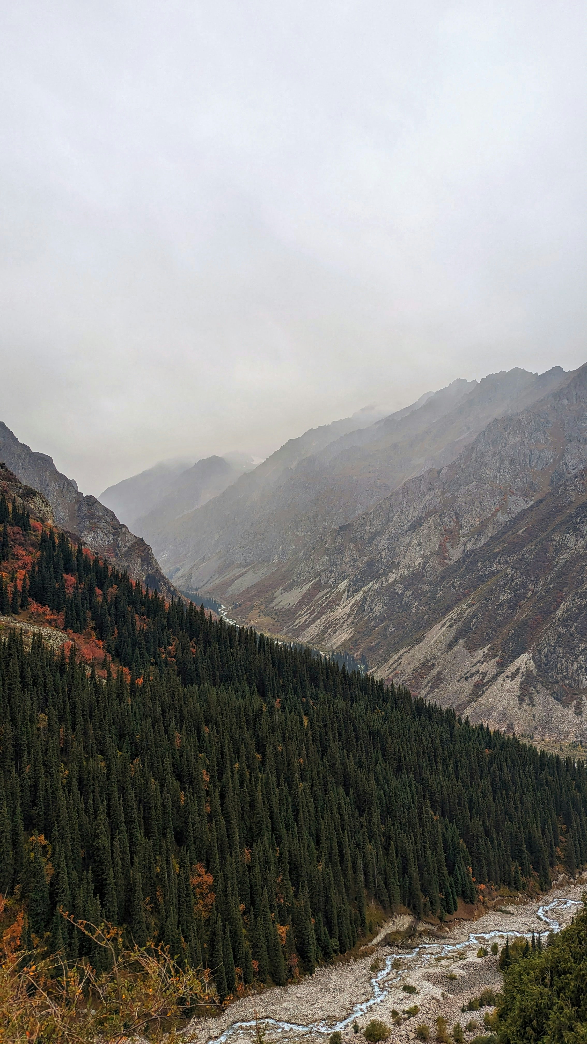 Valley in Mist: Pines, River, and Reverberating Peaks