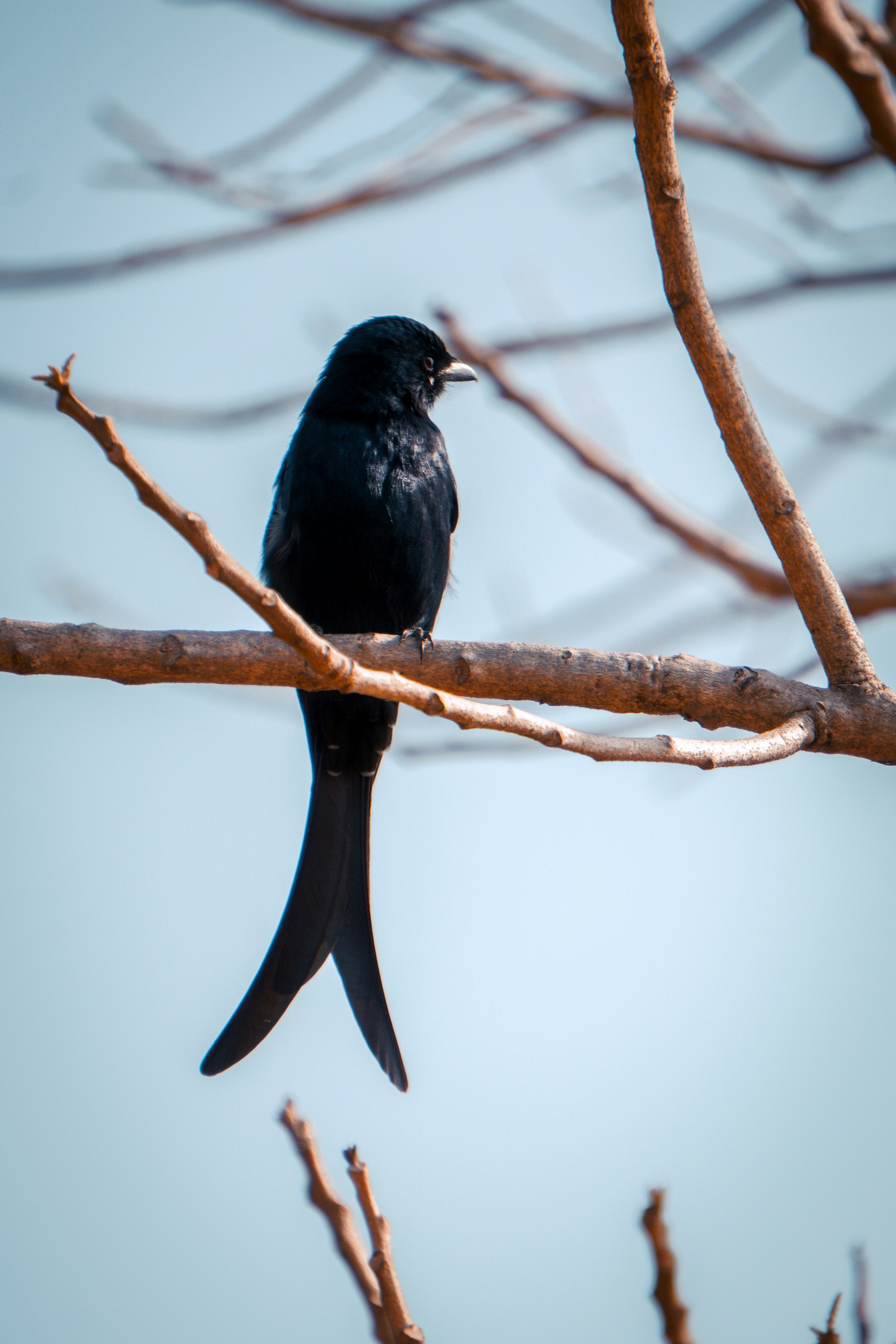 Photo by Garv Chaplot with Sony Alpha 6100