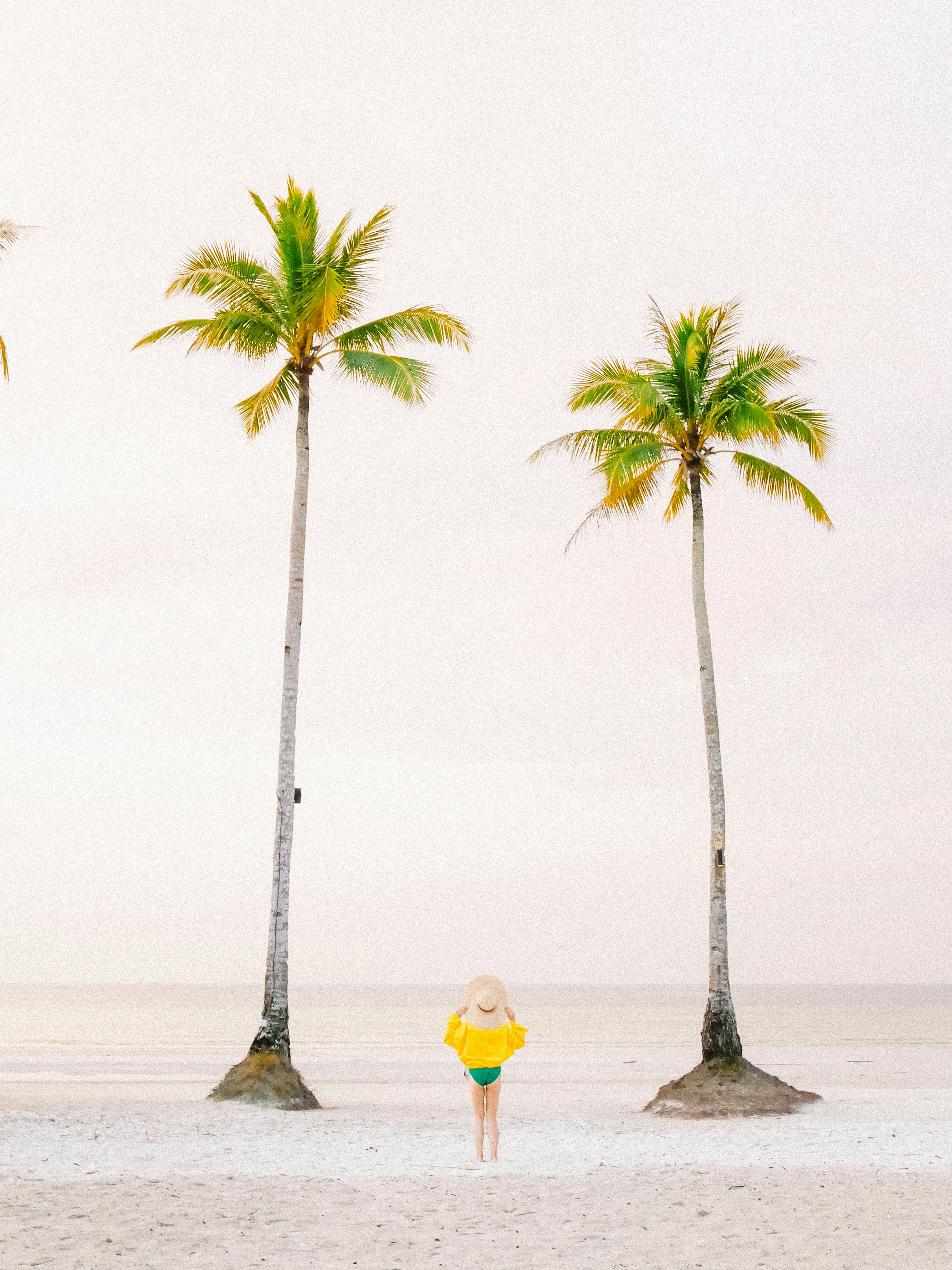 Two Palms, One Beach, One Figure in Bright Summer Light