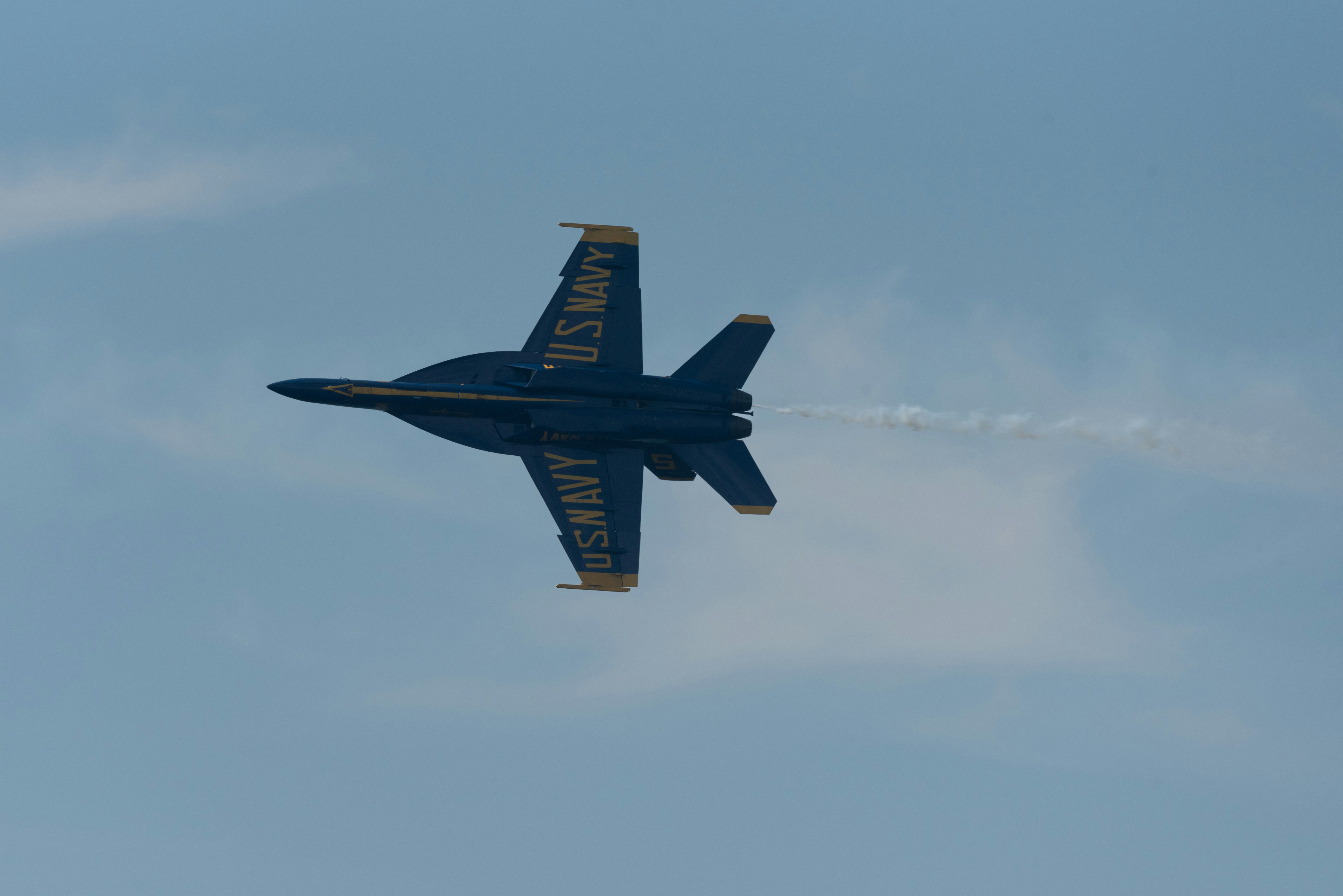 A blue fighter jet flying through a blue sky photo – Free Animal Image ...
