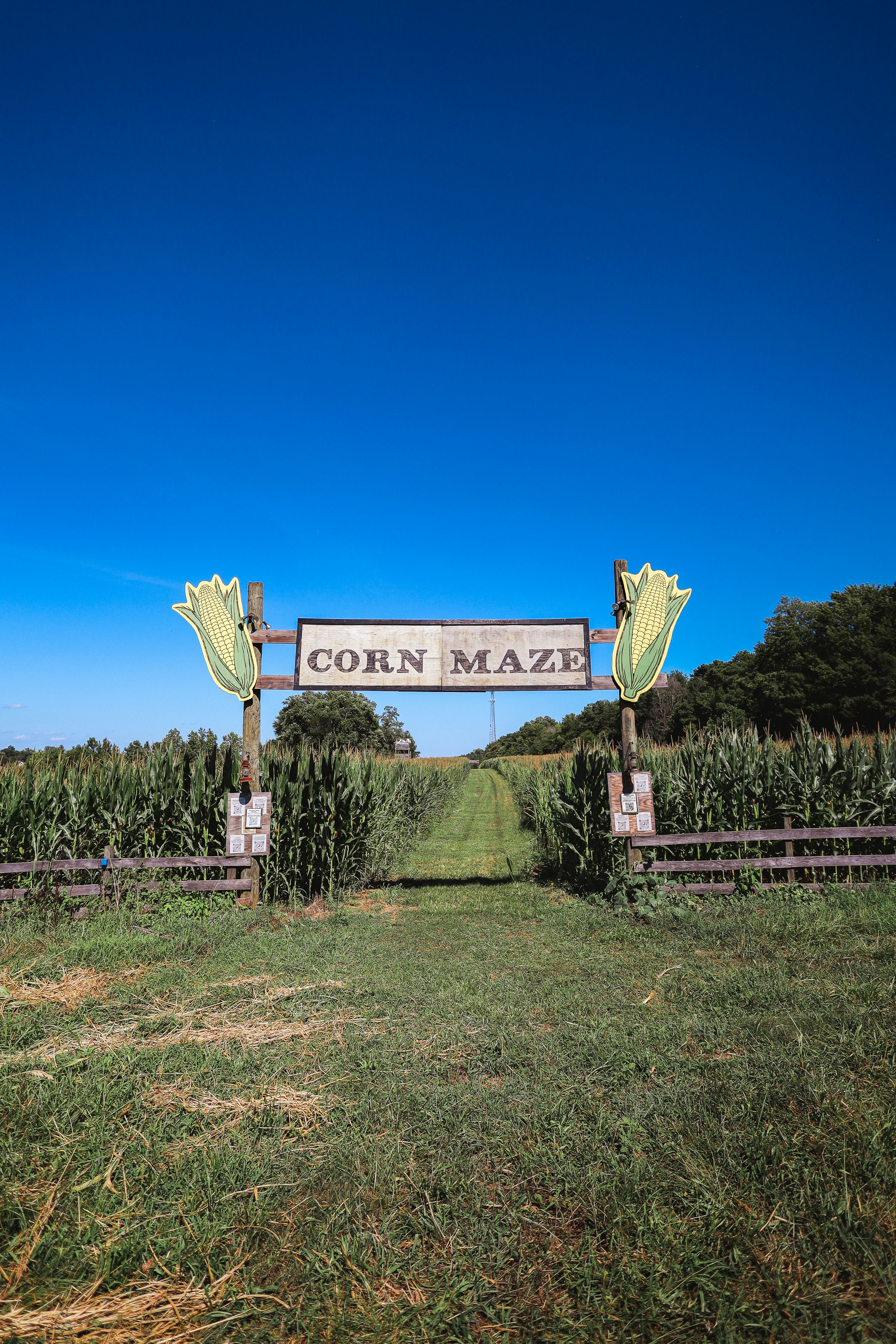 A sign for corn maze in a field photo – Free Siler city Image on Unsplash