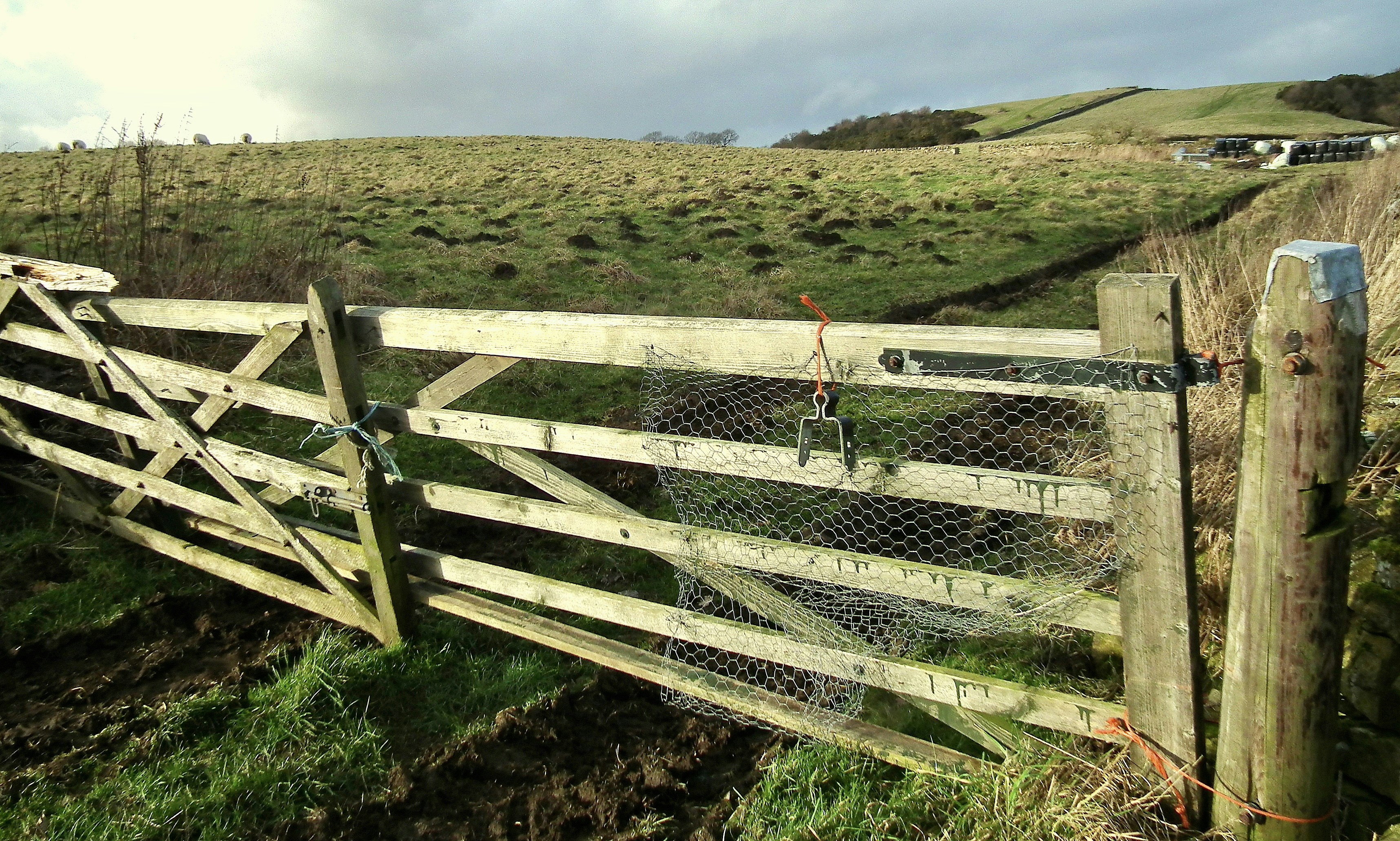Rustic Gate Framing a Sunlit Pasture Under Open Skies