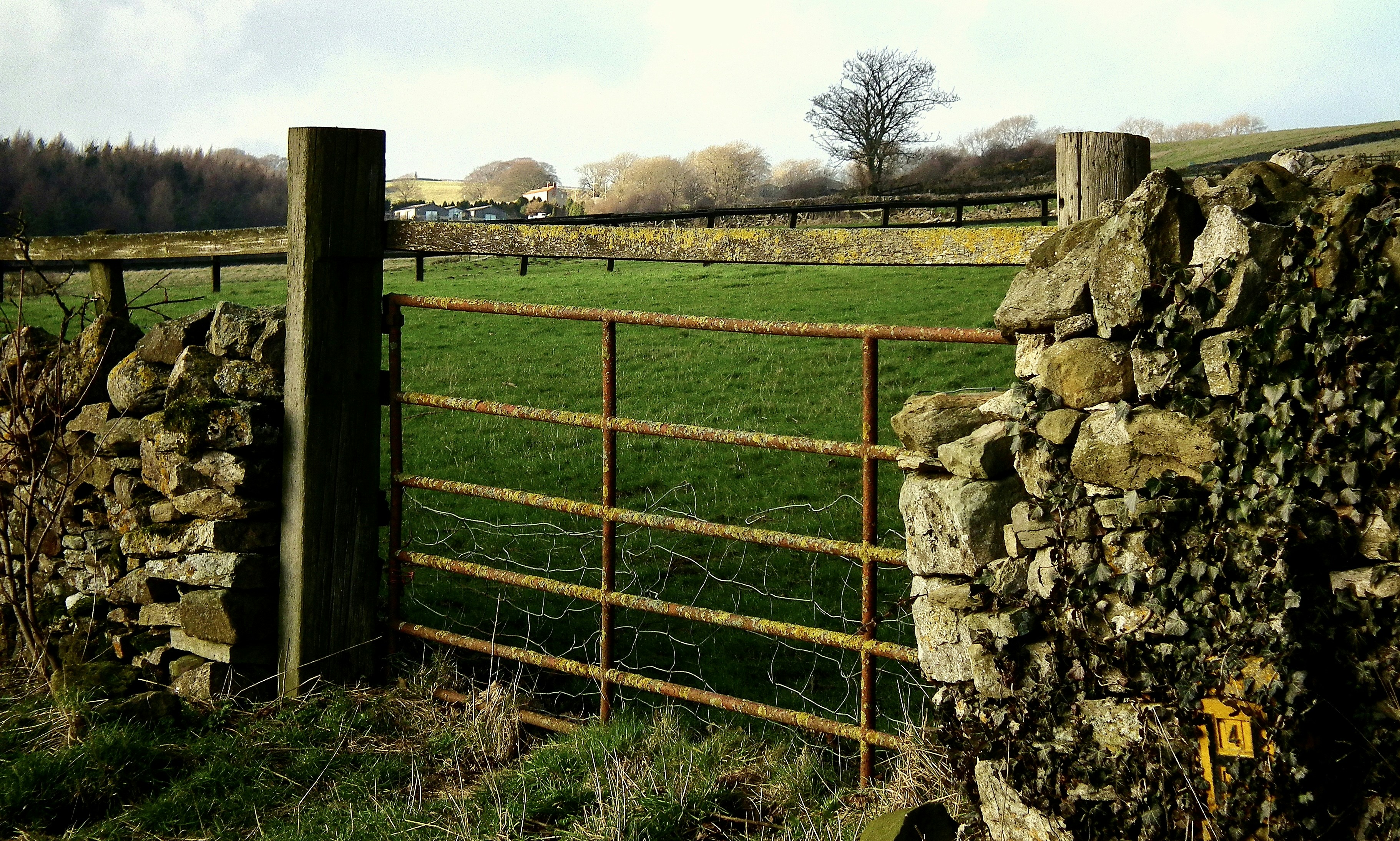 Rustic field gate framed by weathered stone posts opens to a sunlit pasture. A rough stone wall and foreground fence guide the eye toward distant trees.
