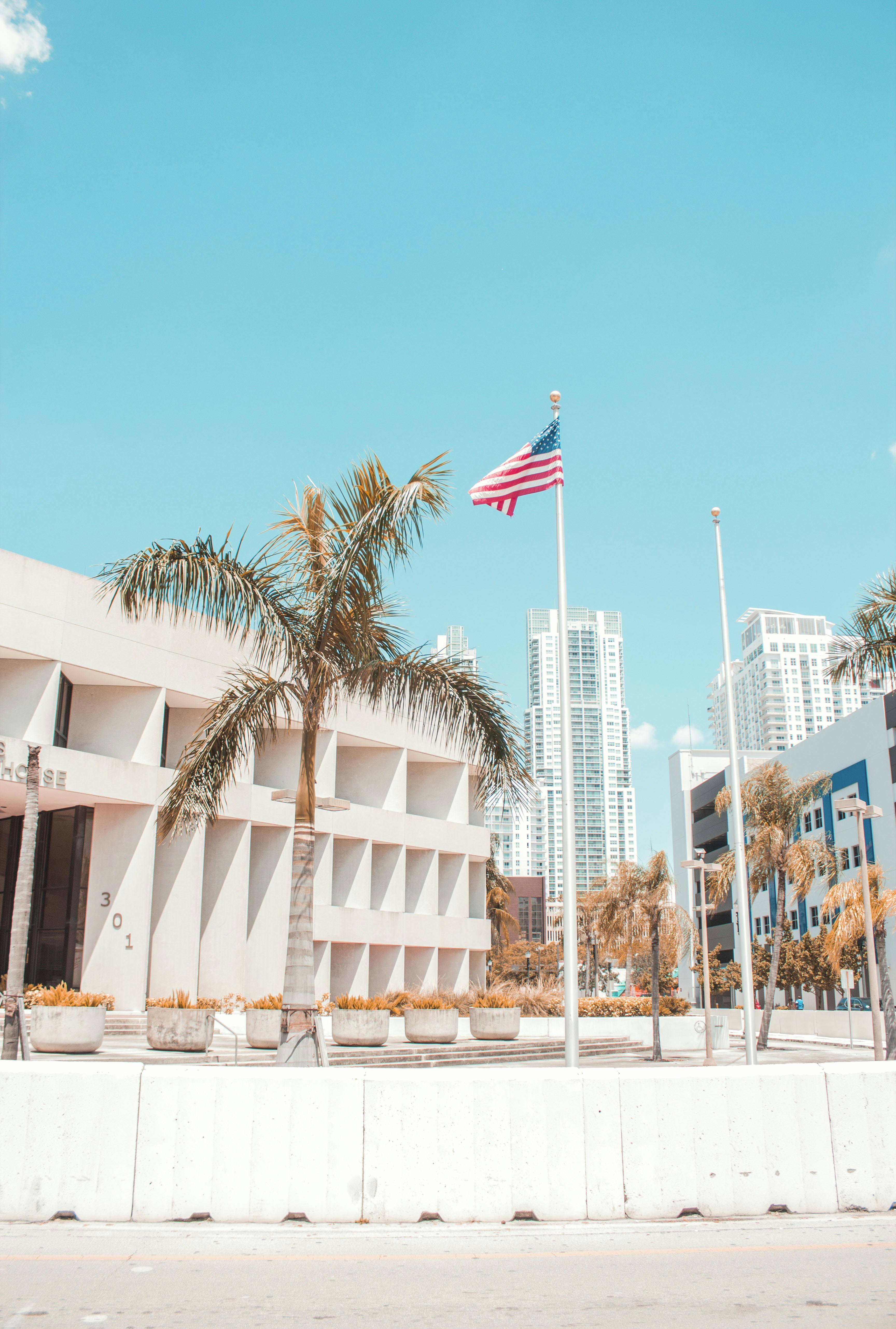 Flagpole Serenade on a Palm-Fringed Boulevard