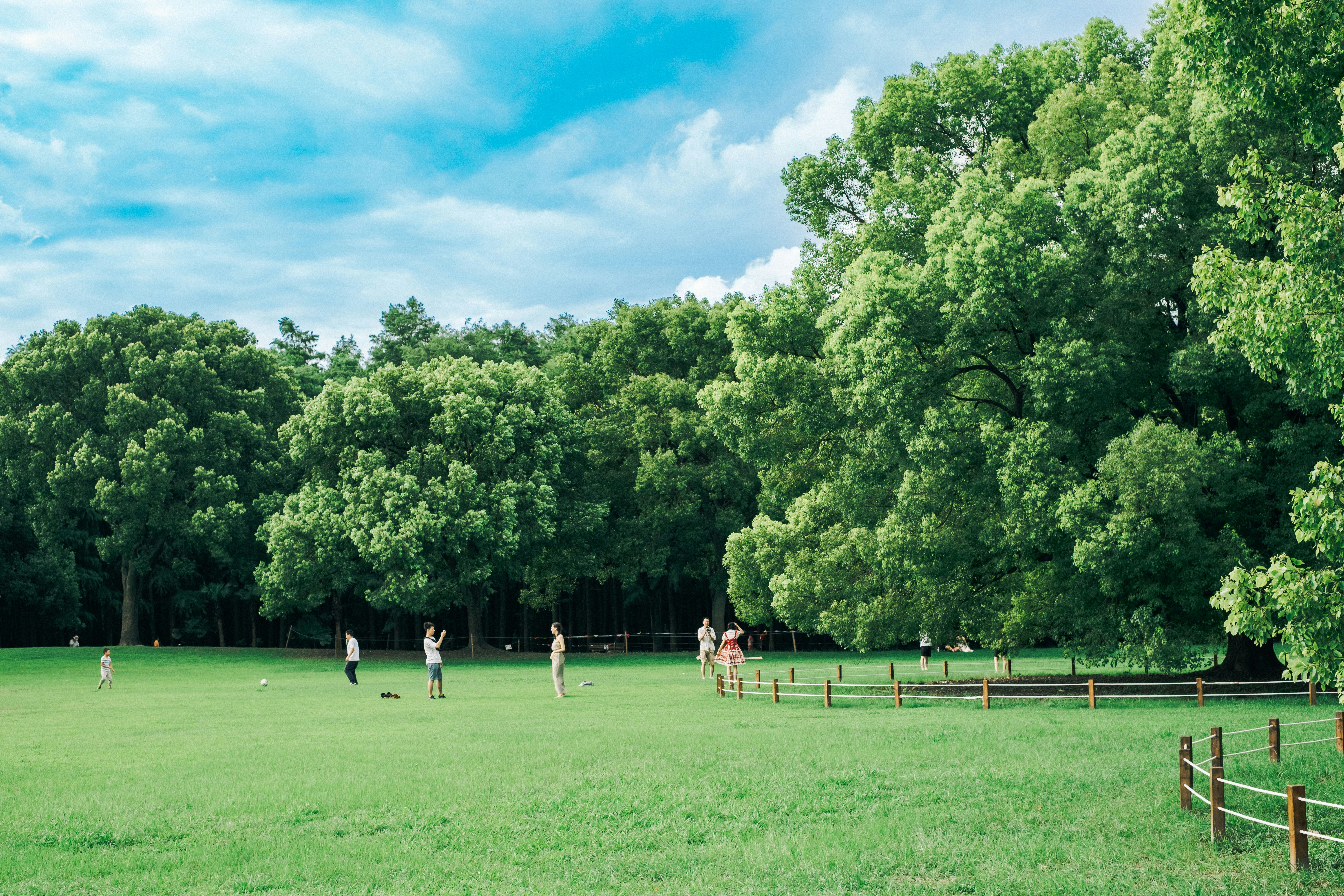 A group of people playing a game of frisbee photo – Free Full hd ...
