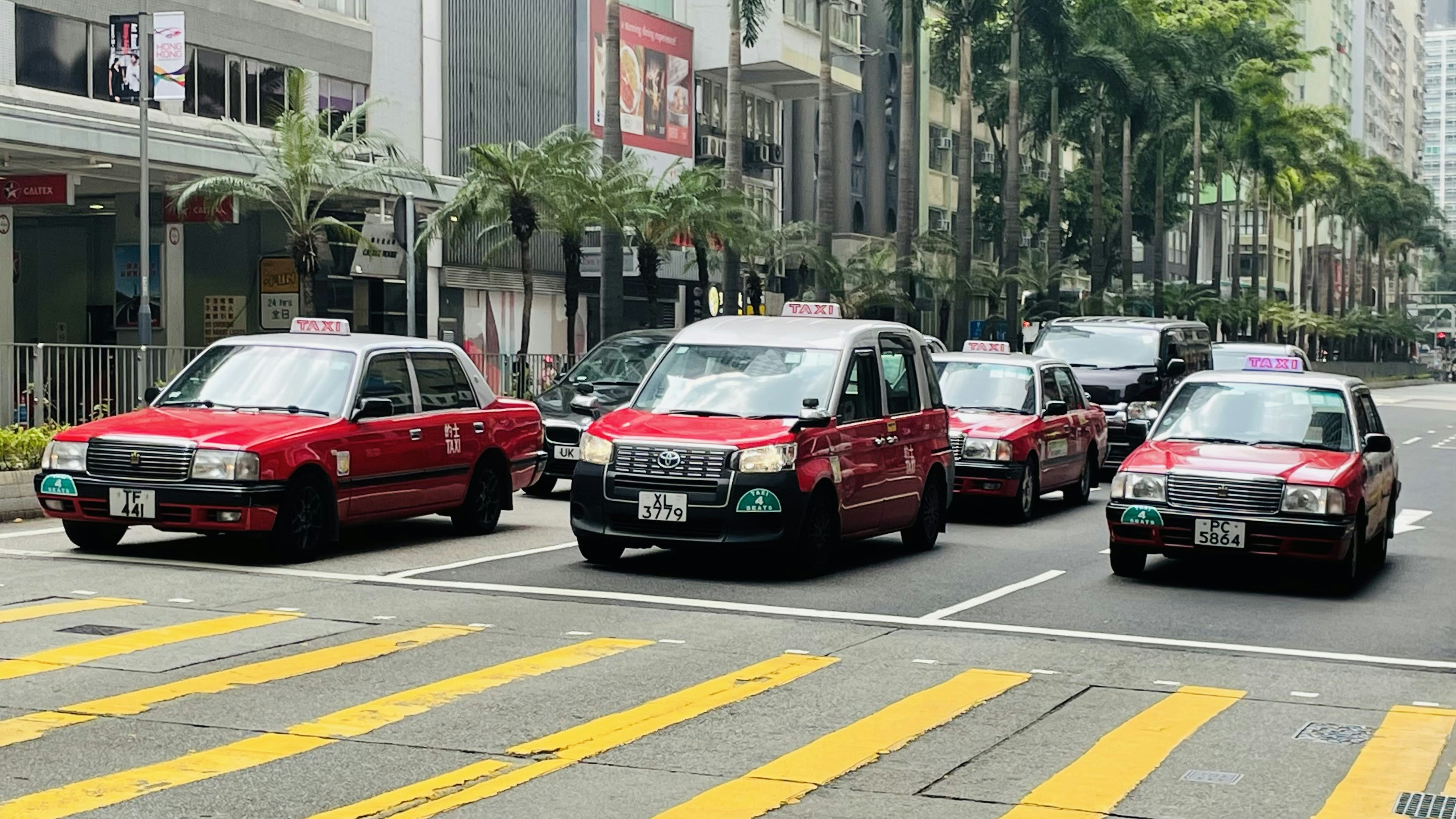 Red Taxi Parade Along a Palm-Lined City Street