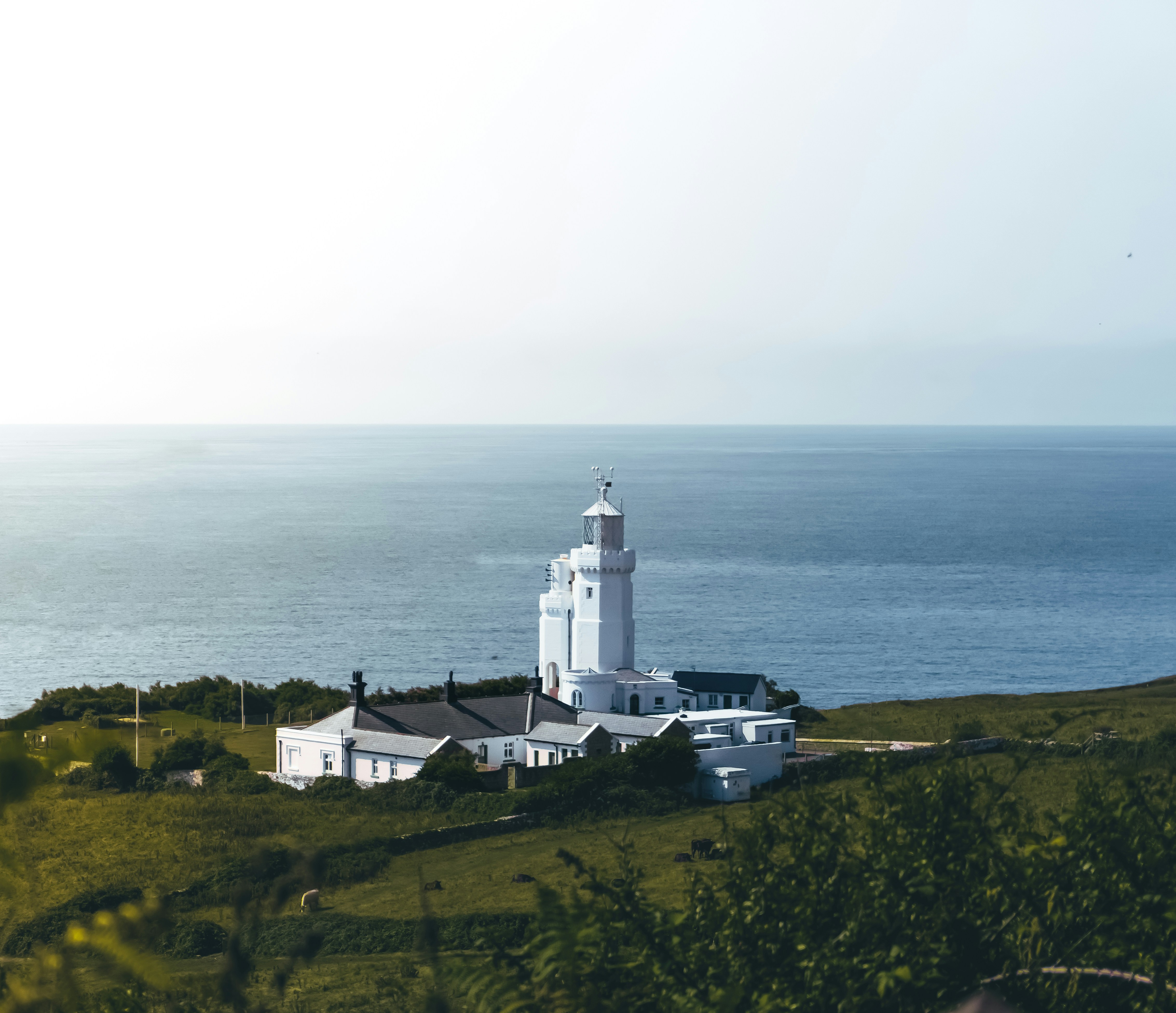 A coastal lighthouse stands proud against the serene ocean backdrop, surrounded by lush greenery. Its bright white facade contrasts beautifully with the deep blue sea.
