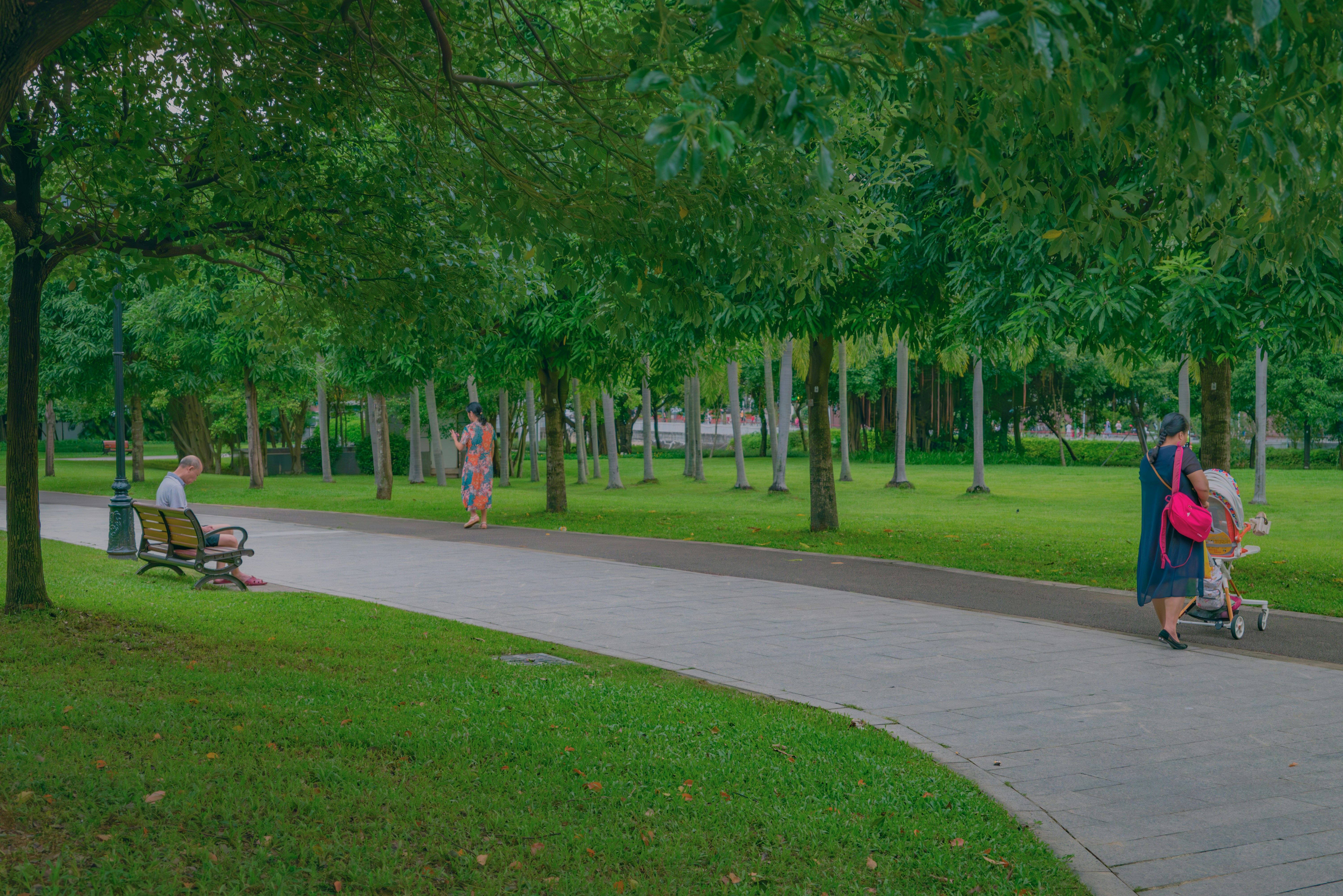 A couple of people that are walking down a path photo – Free Grass ...