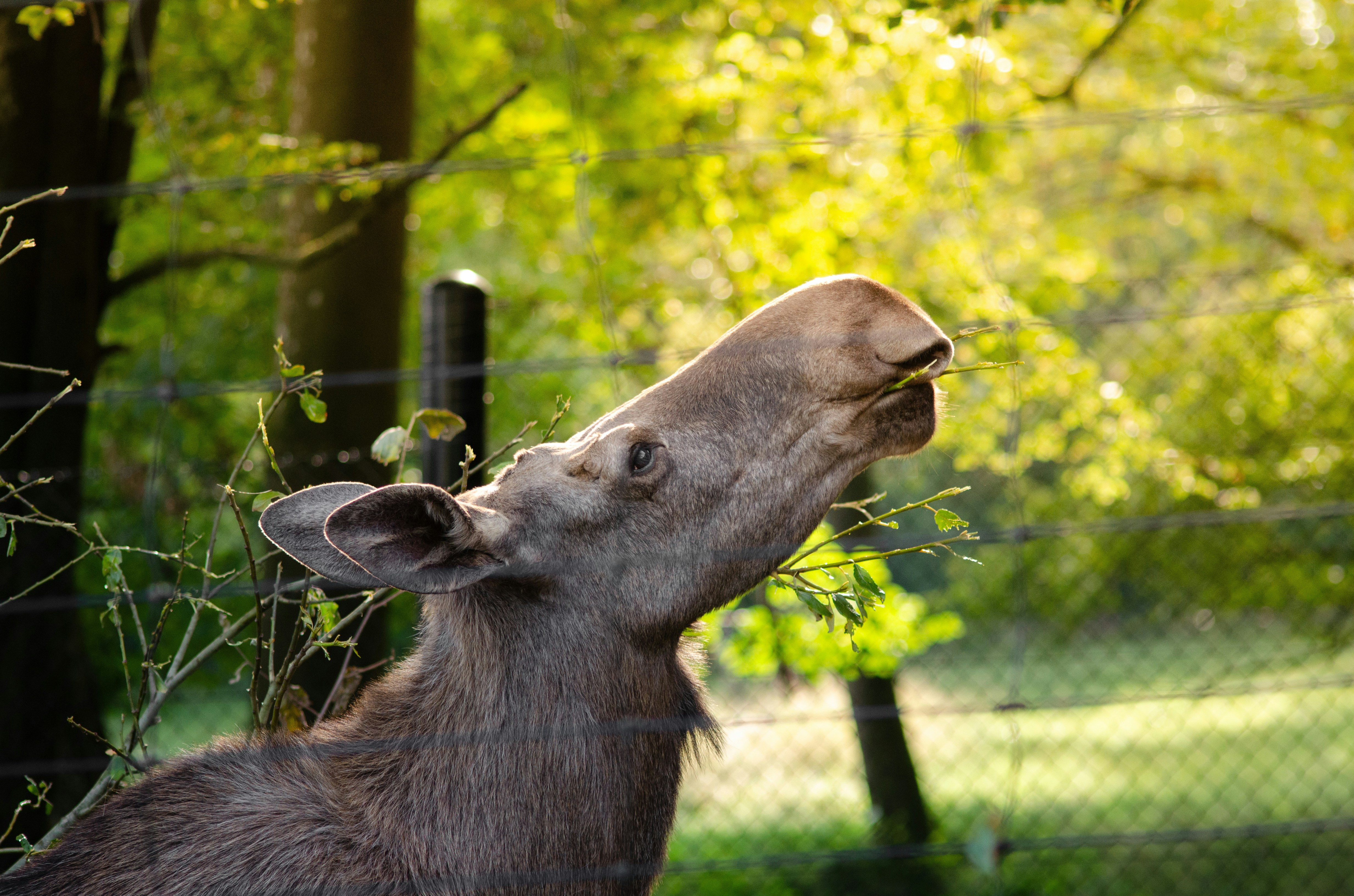 Photo by Daniele M with Nikon D5100