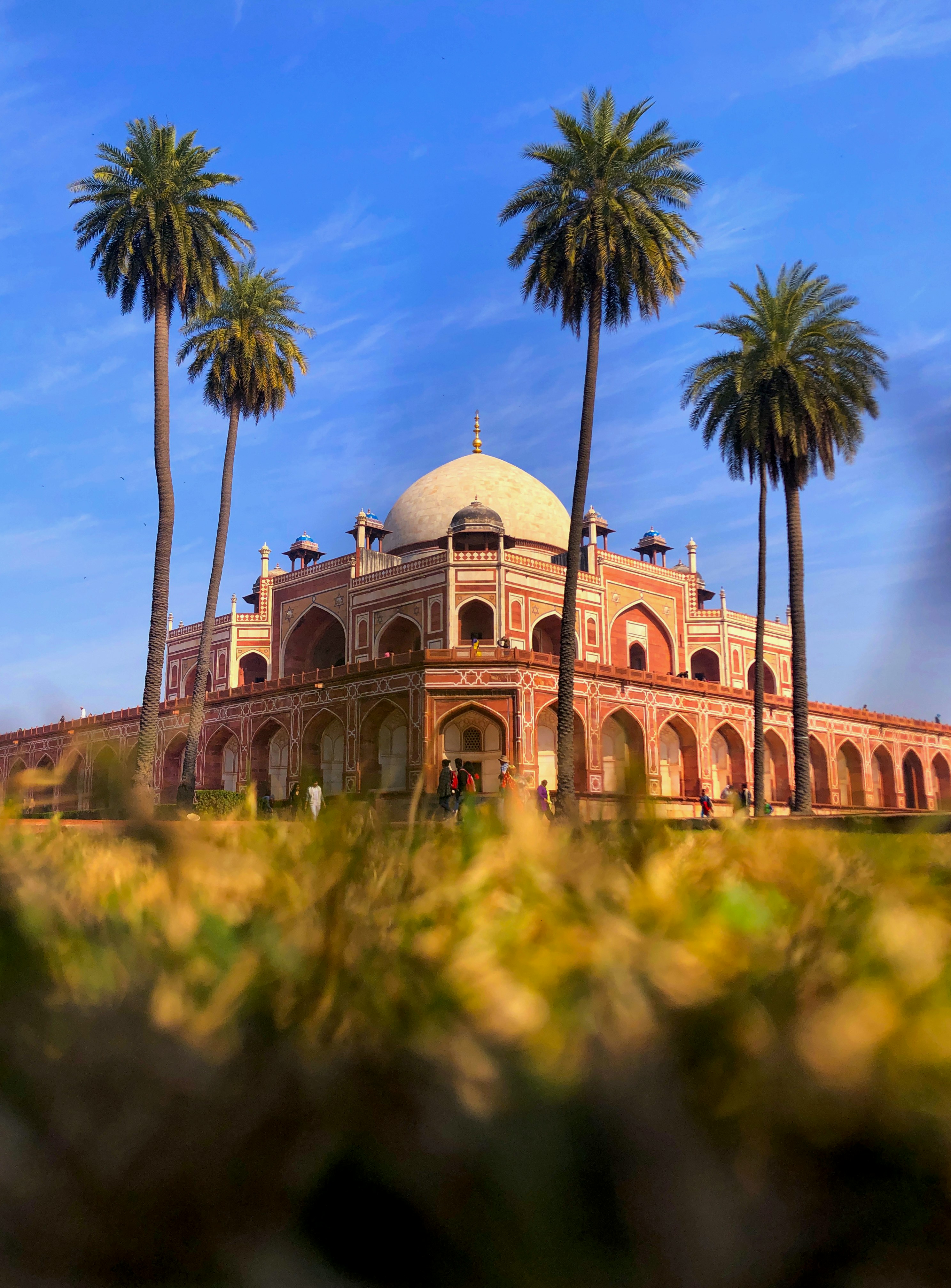 Dome Framed by Palms: Palm-Lined Monument Under Azure Sky