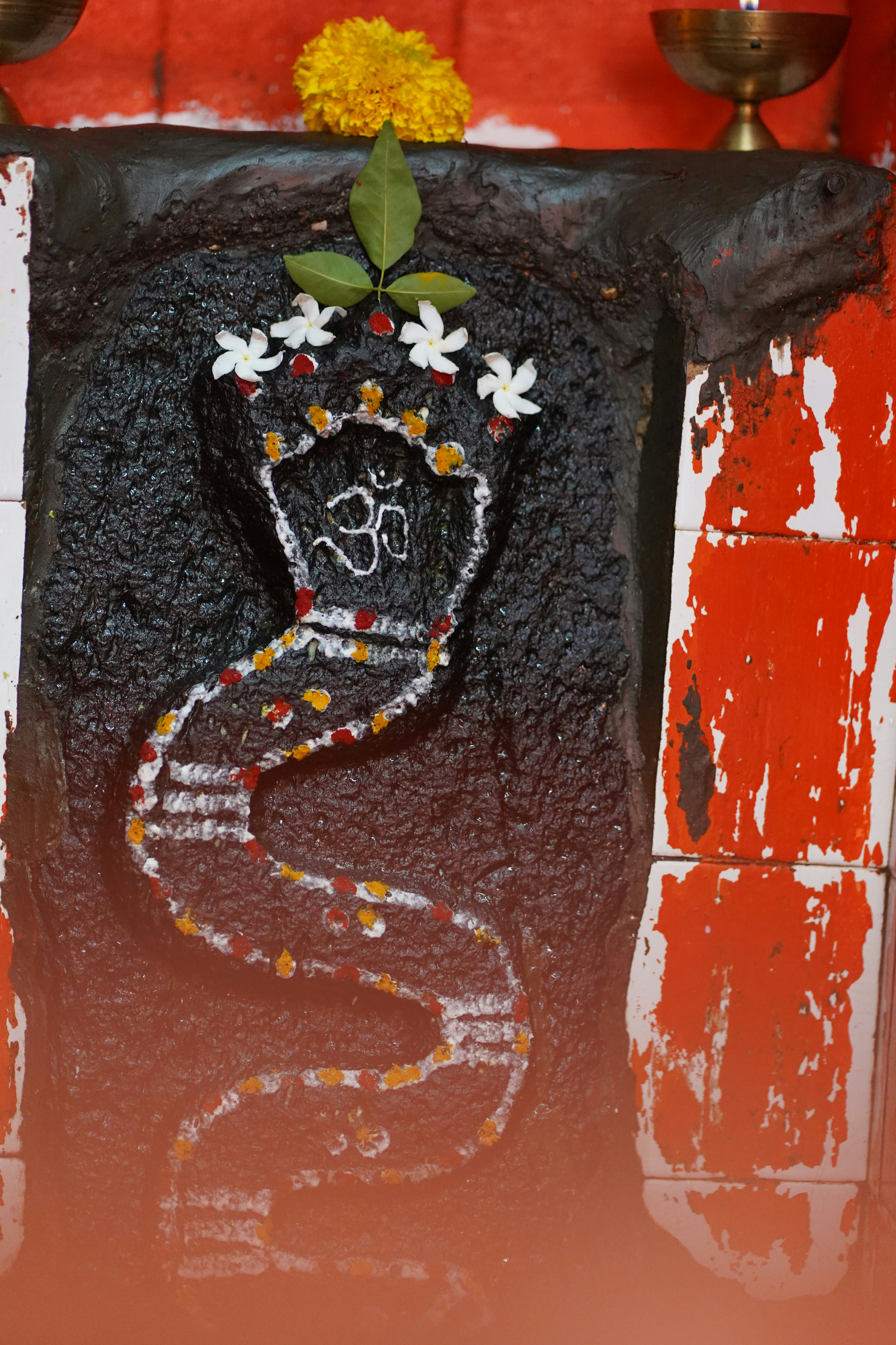 Cobra Shadow: A Sacred Glyph Carved in Charred Blackness