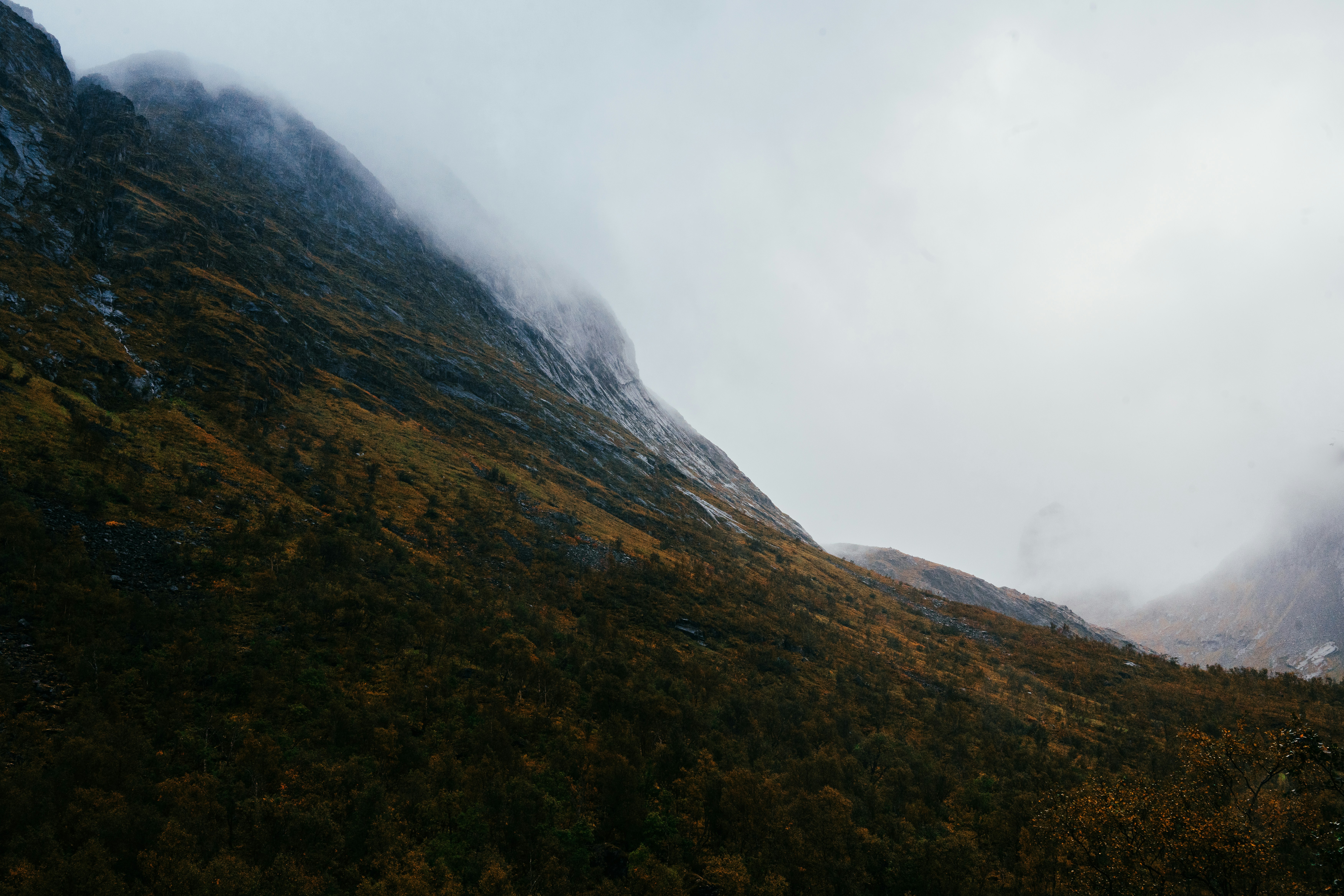 Photo by Isabel Pohjanen with Sony Alpha 7 IV