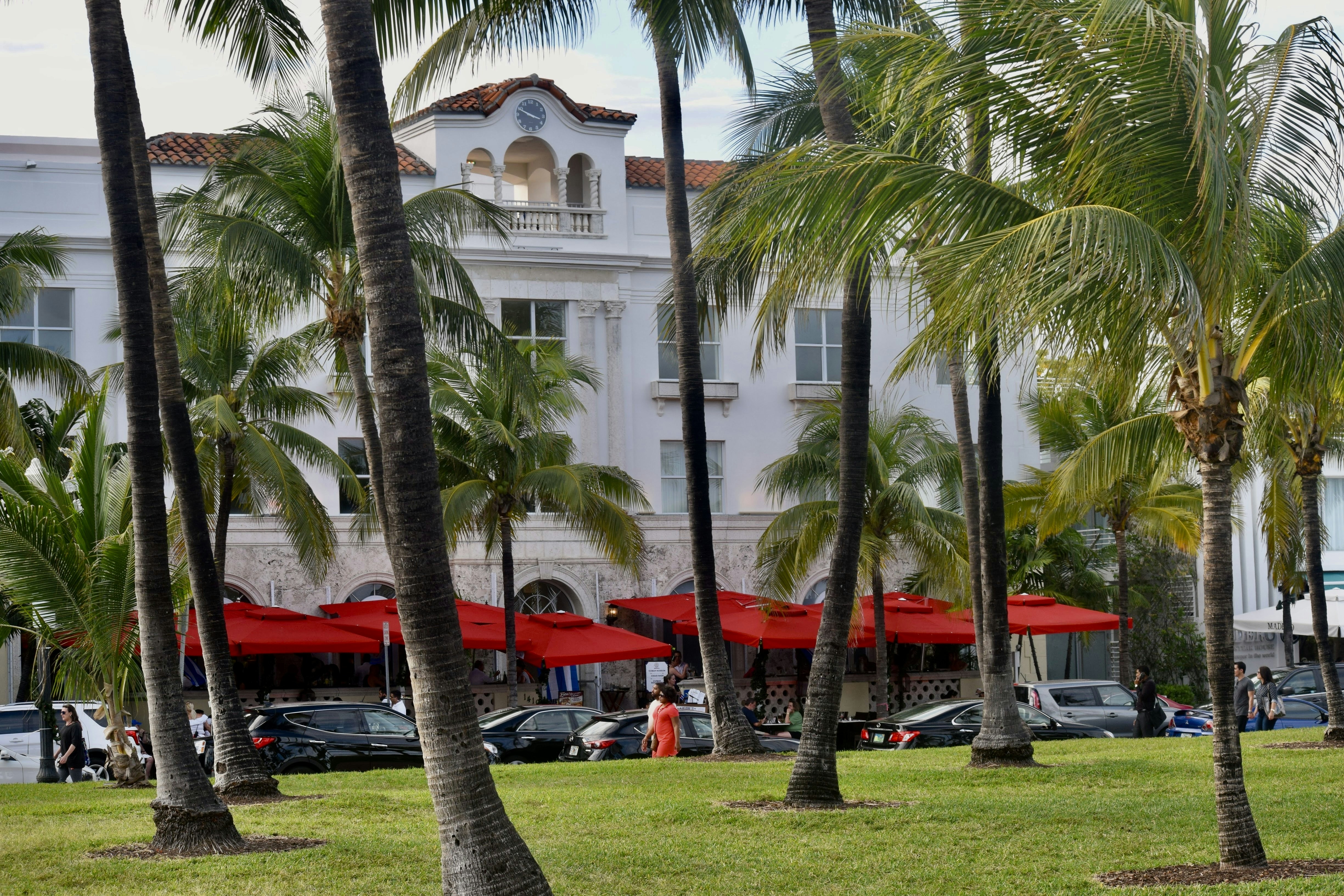 Crimson Canopies Framing a White Facade: Palm-Lined Lawn