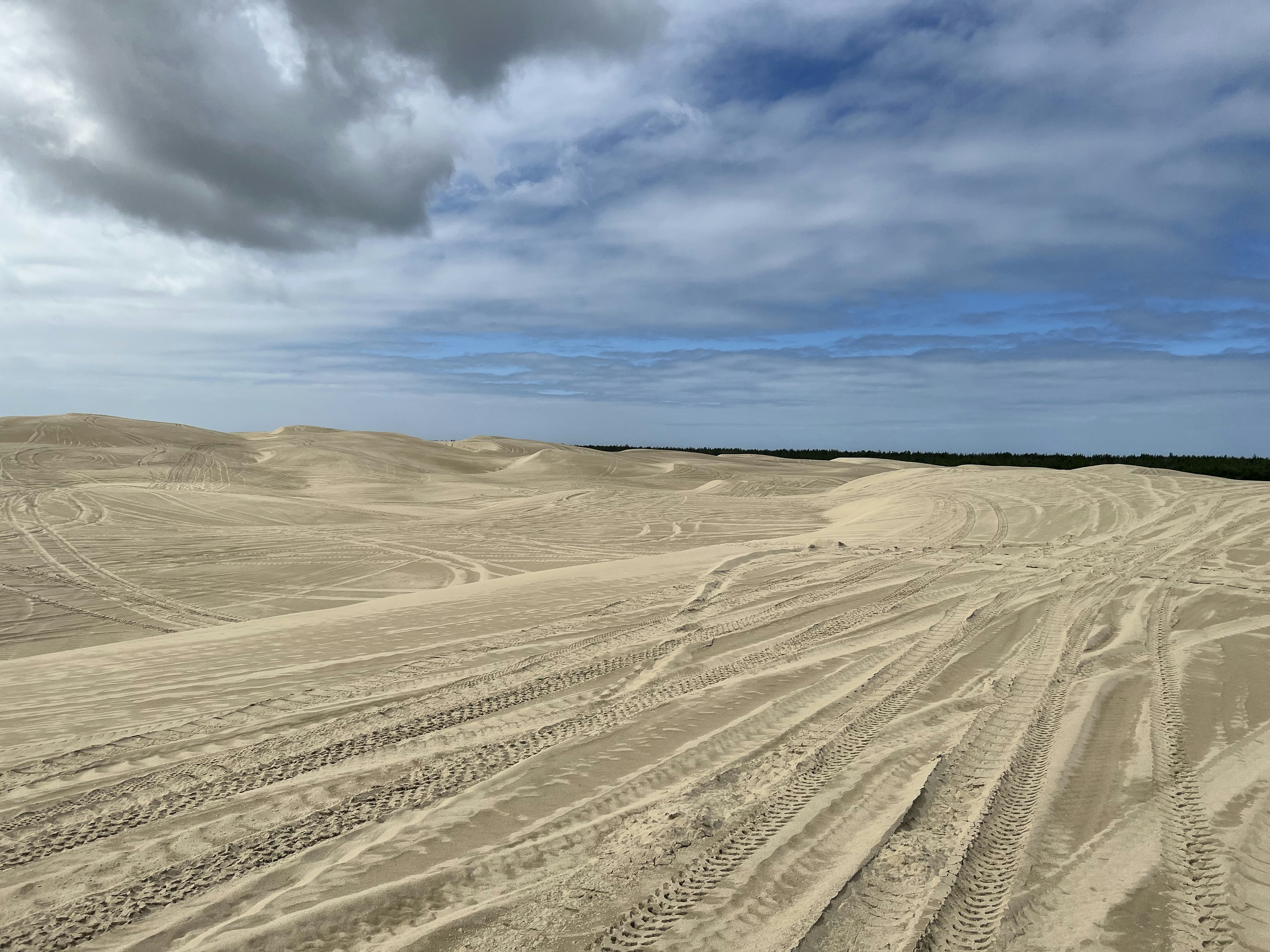 A large sandy field with tracks in the sand photo – Free Land Image on ...