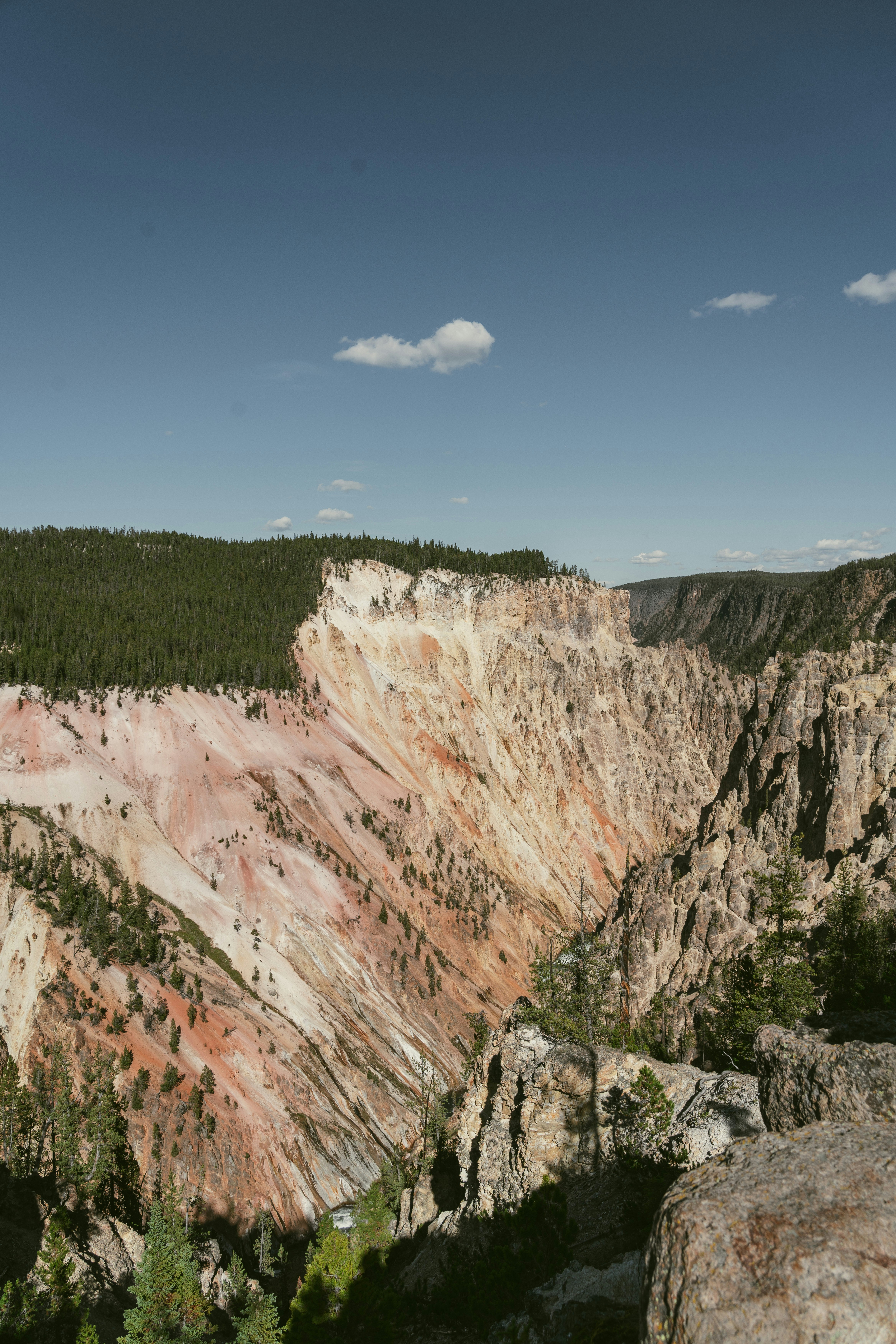 Painted Canyon: Rosy Cliffs and Pine Crown under a Clear Blue Sky