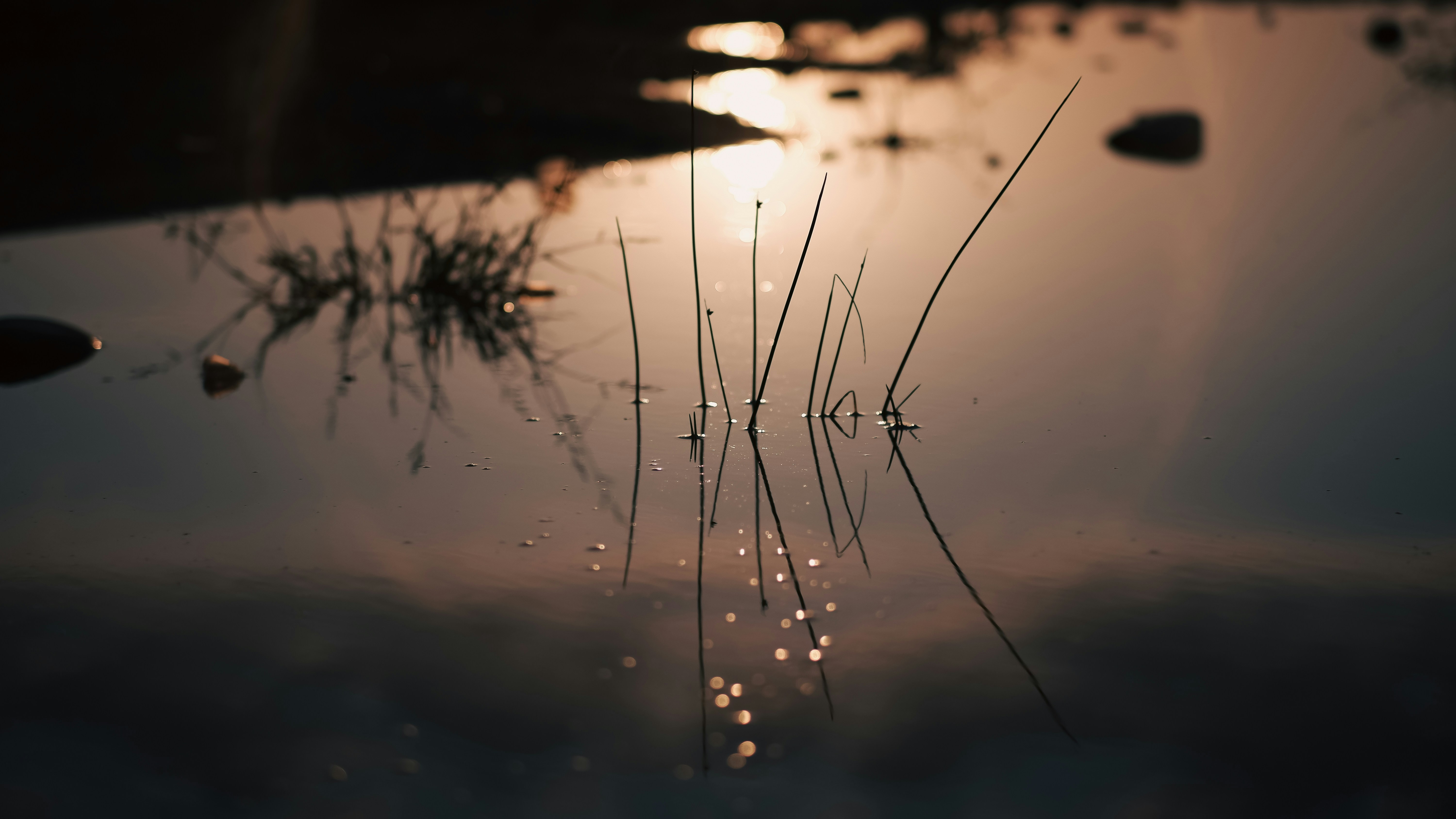 The water is reflecting the sun in the background photo – Free Land ...