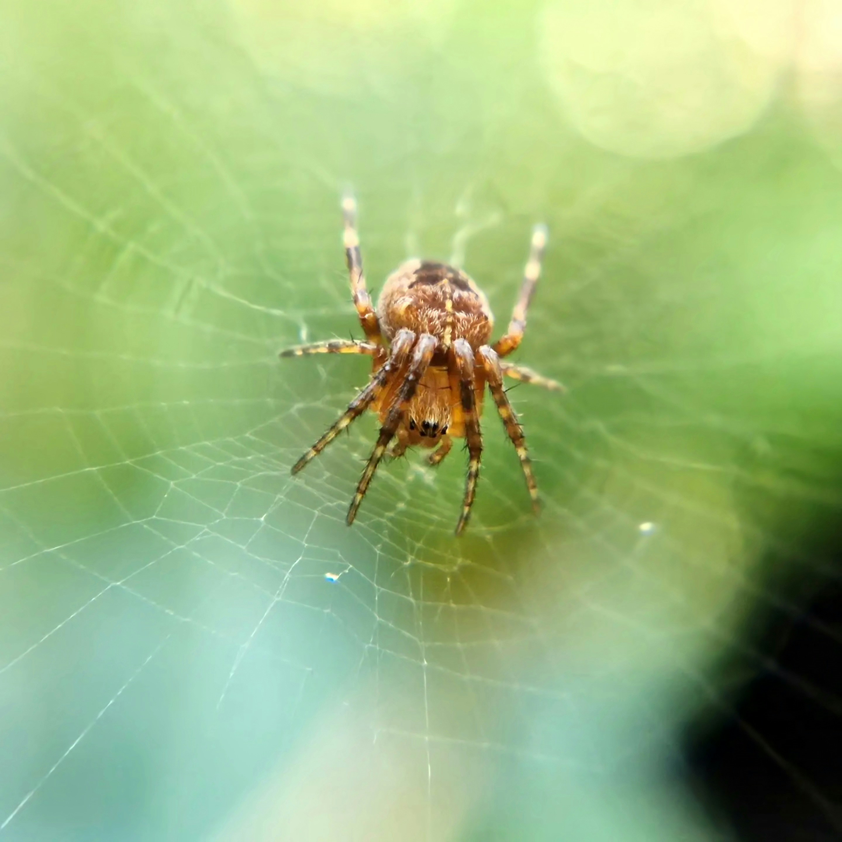 Dylan Starkey (@dylstarkey) | Unsplash Photo Community