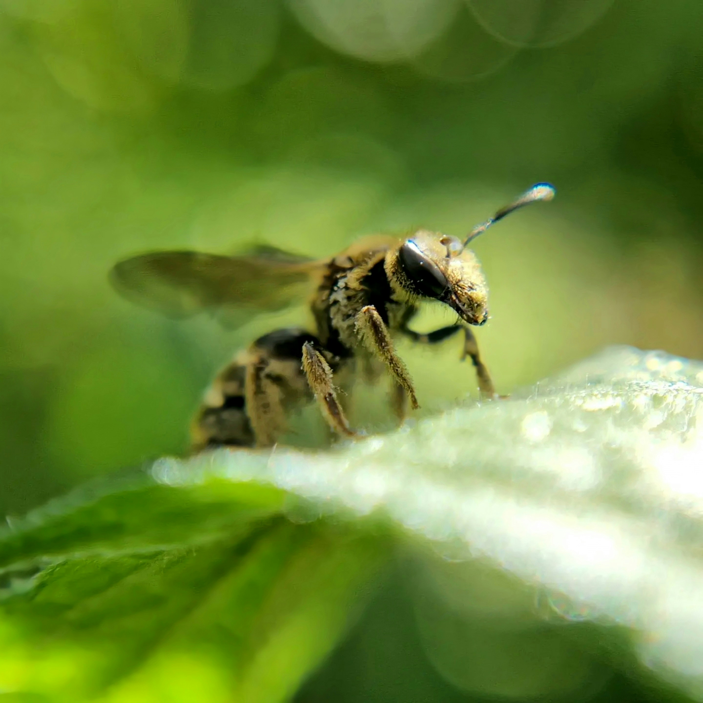 Dylan Starkey (@dylstarkey) | Unsplash Photo Community