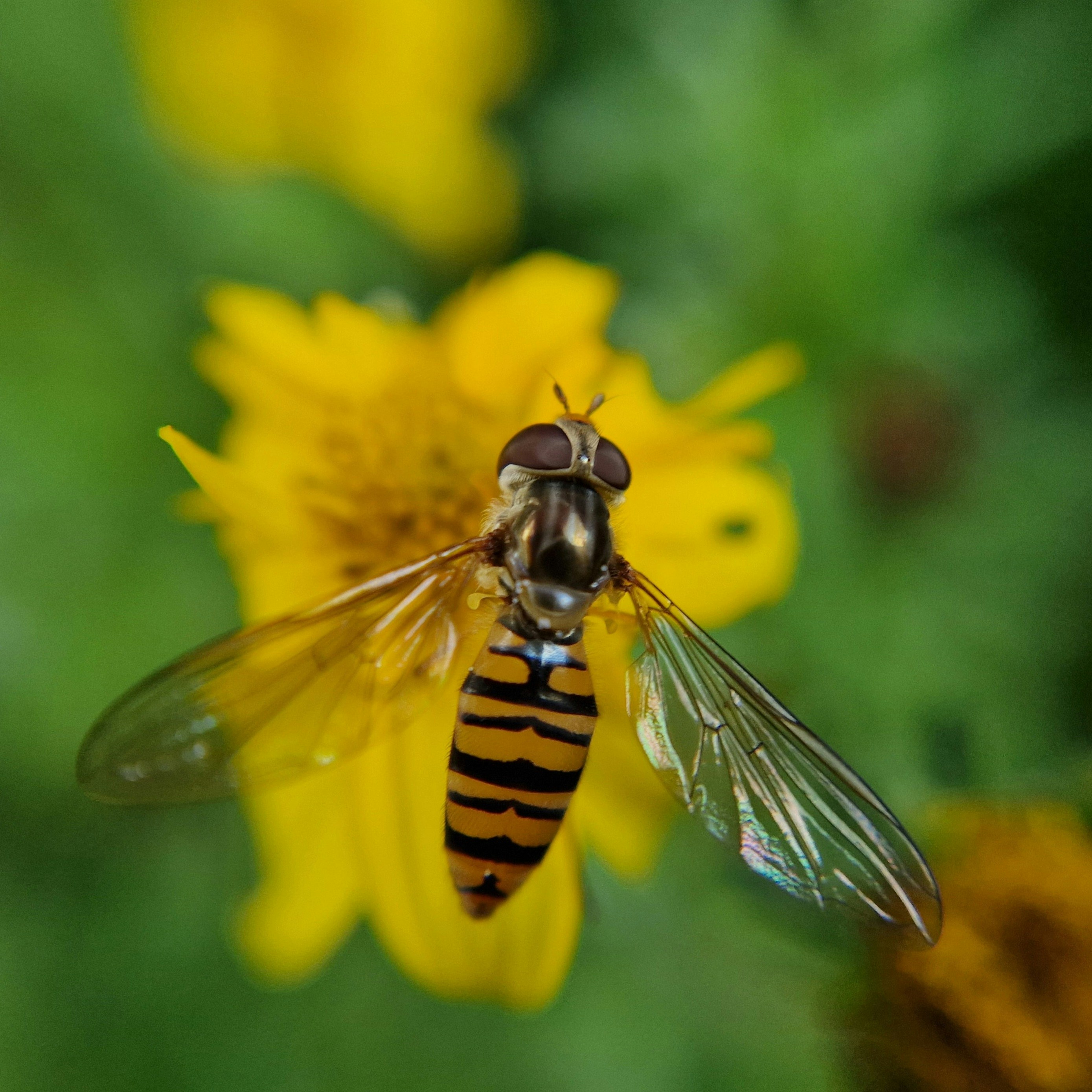 Dylan Starkey (@dylstarkey) | Unsplash Photo Community