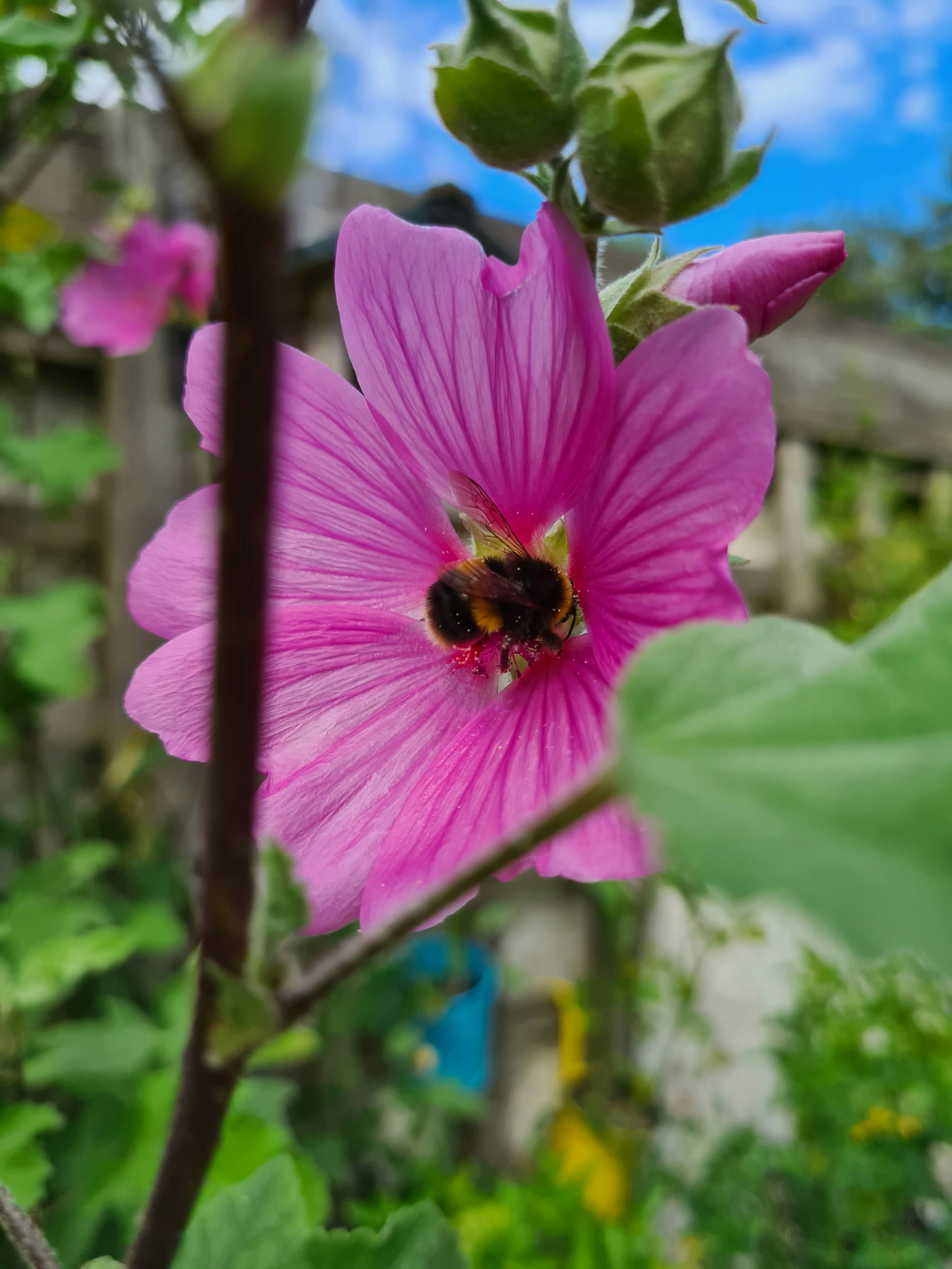 Dylan Starkey (@dylstarkey) | Unsplash Photo Community