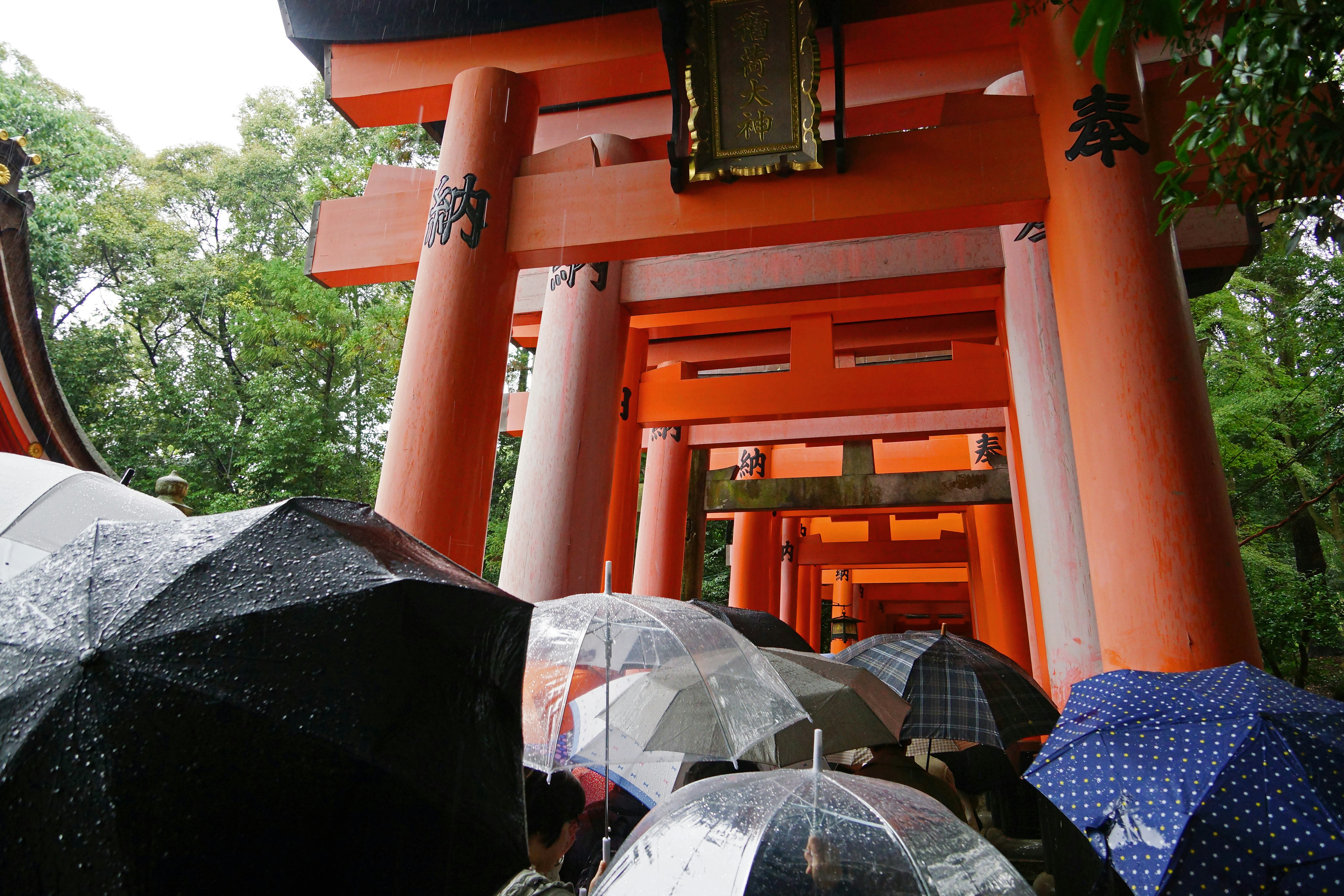 Row of Vermilion Torii Under Rainy Sky