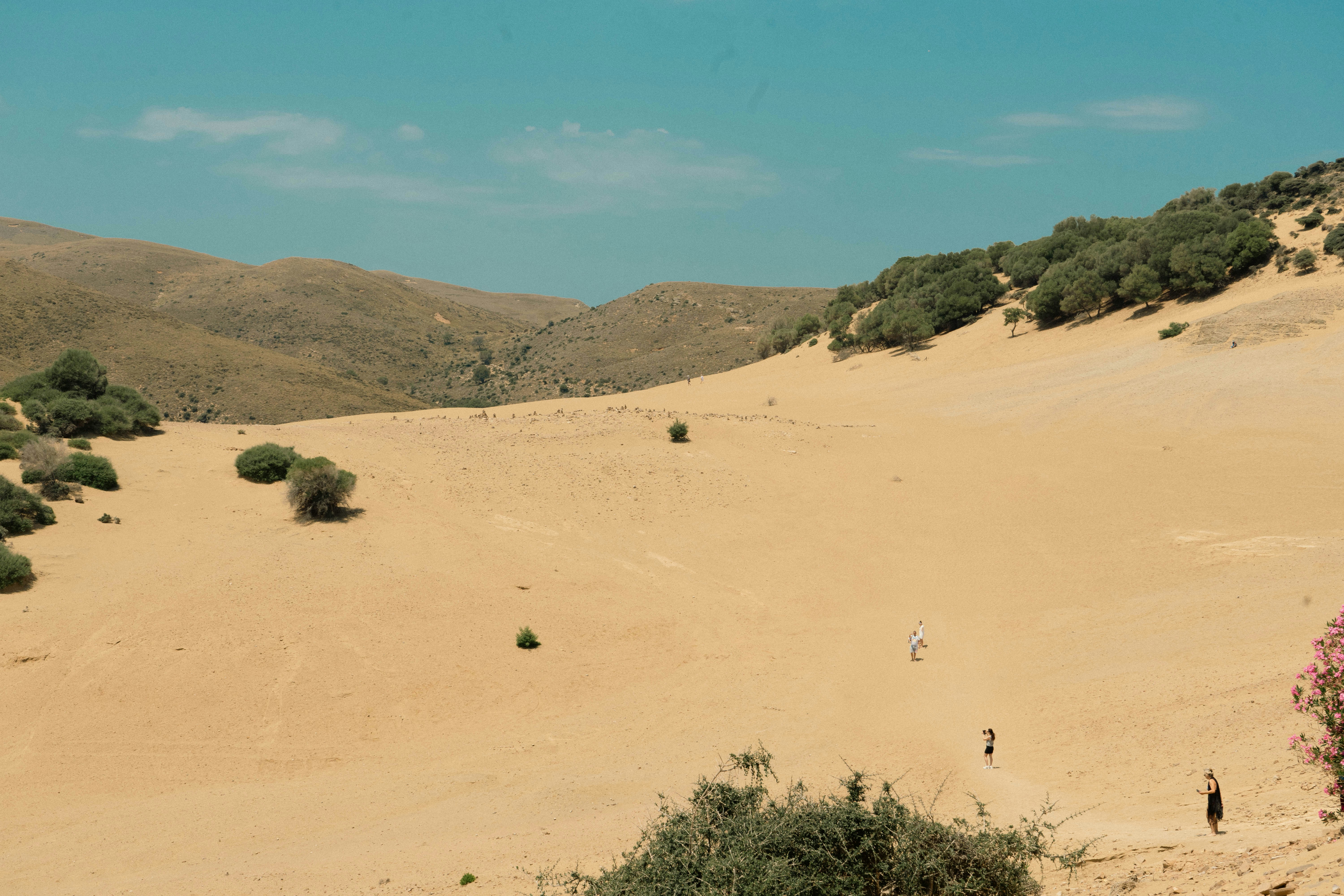 A group of people walking across a sandy field photo – Free Desert ...