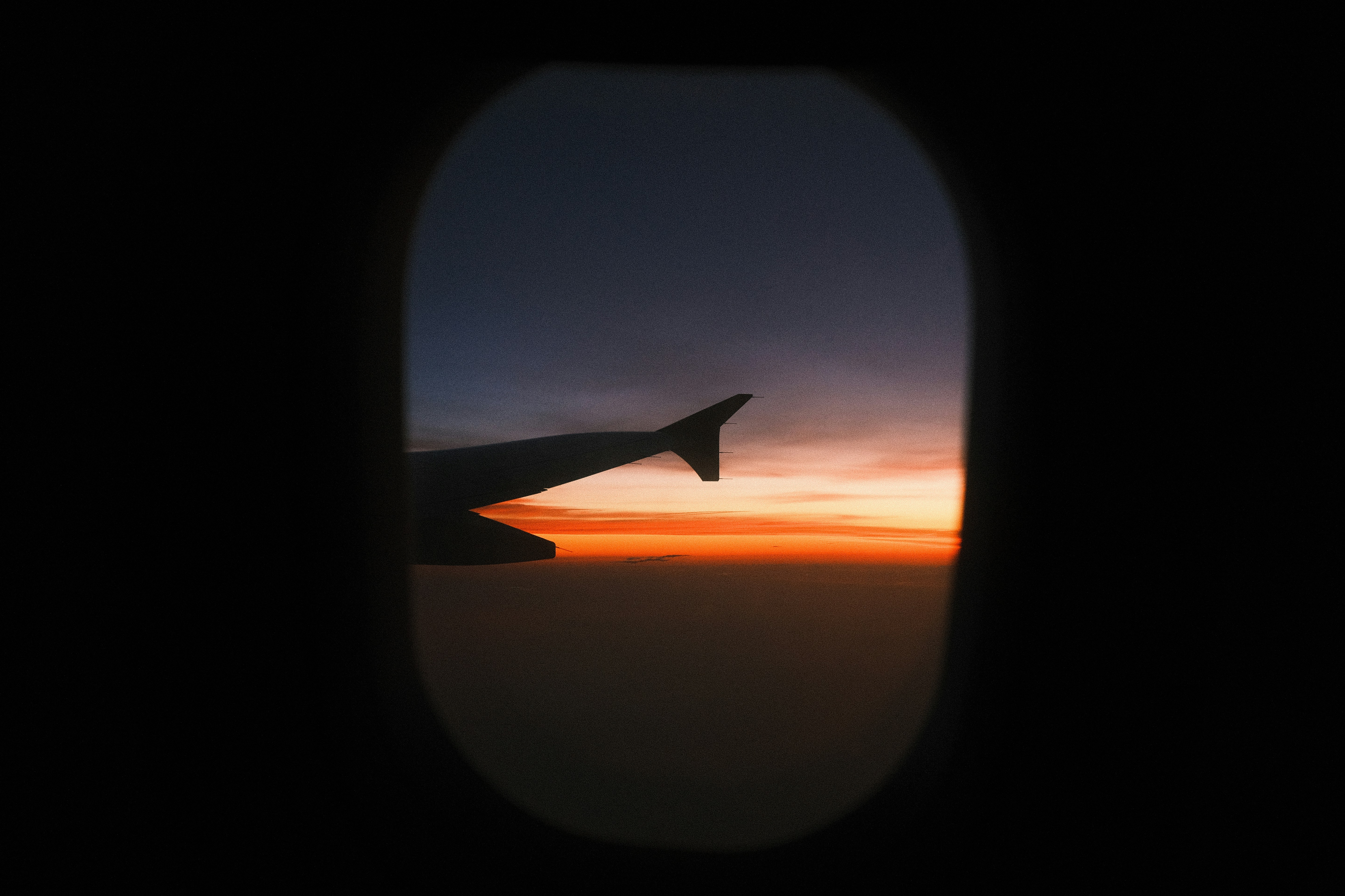 Wings of Dawn: A Journey Beyond the Clouds