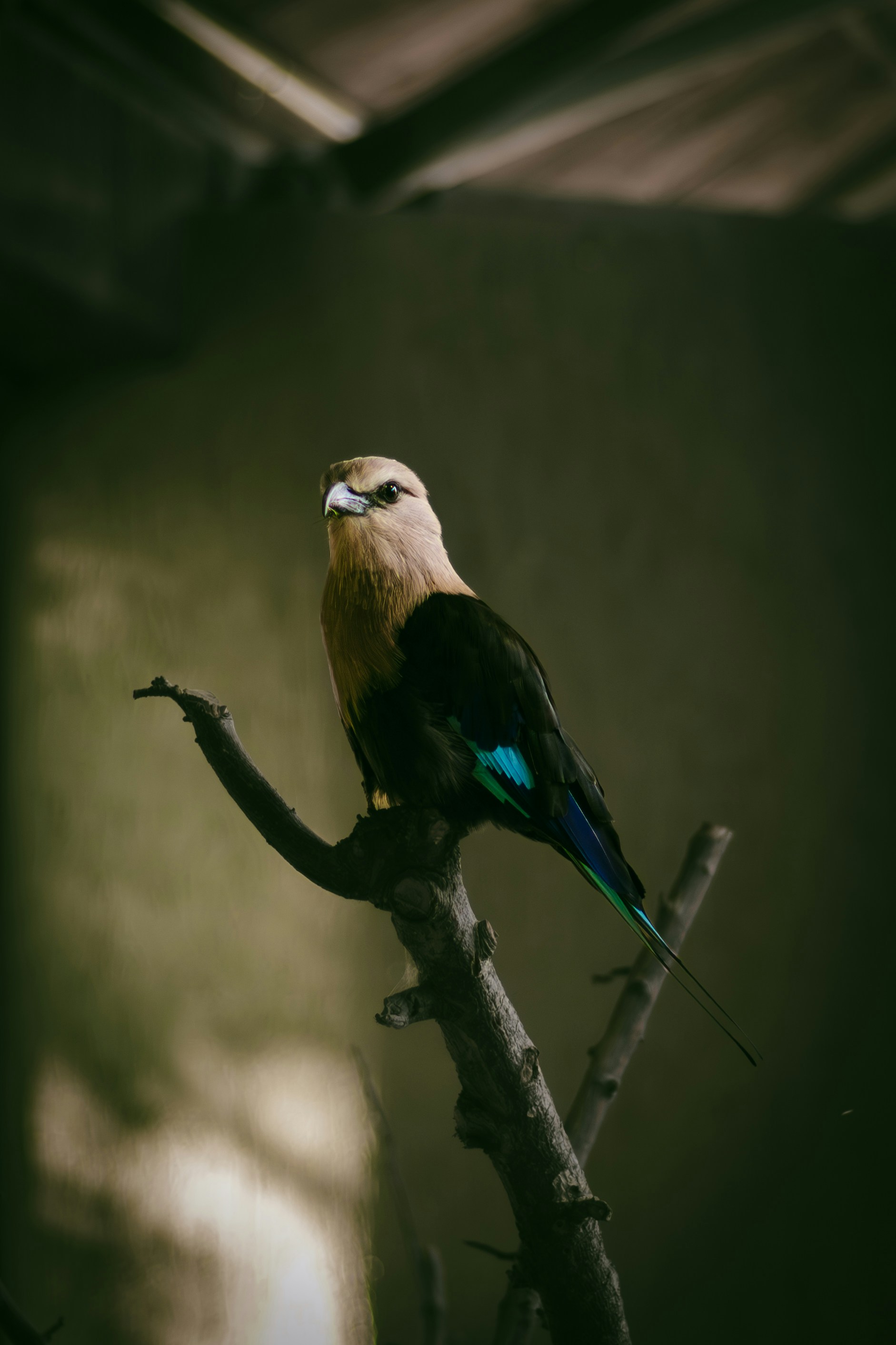 Photo by Mykhailo Amirdzhanian with Canon EOS 200D Mark II