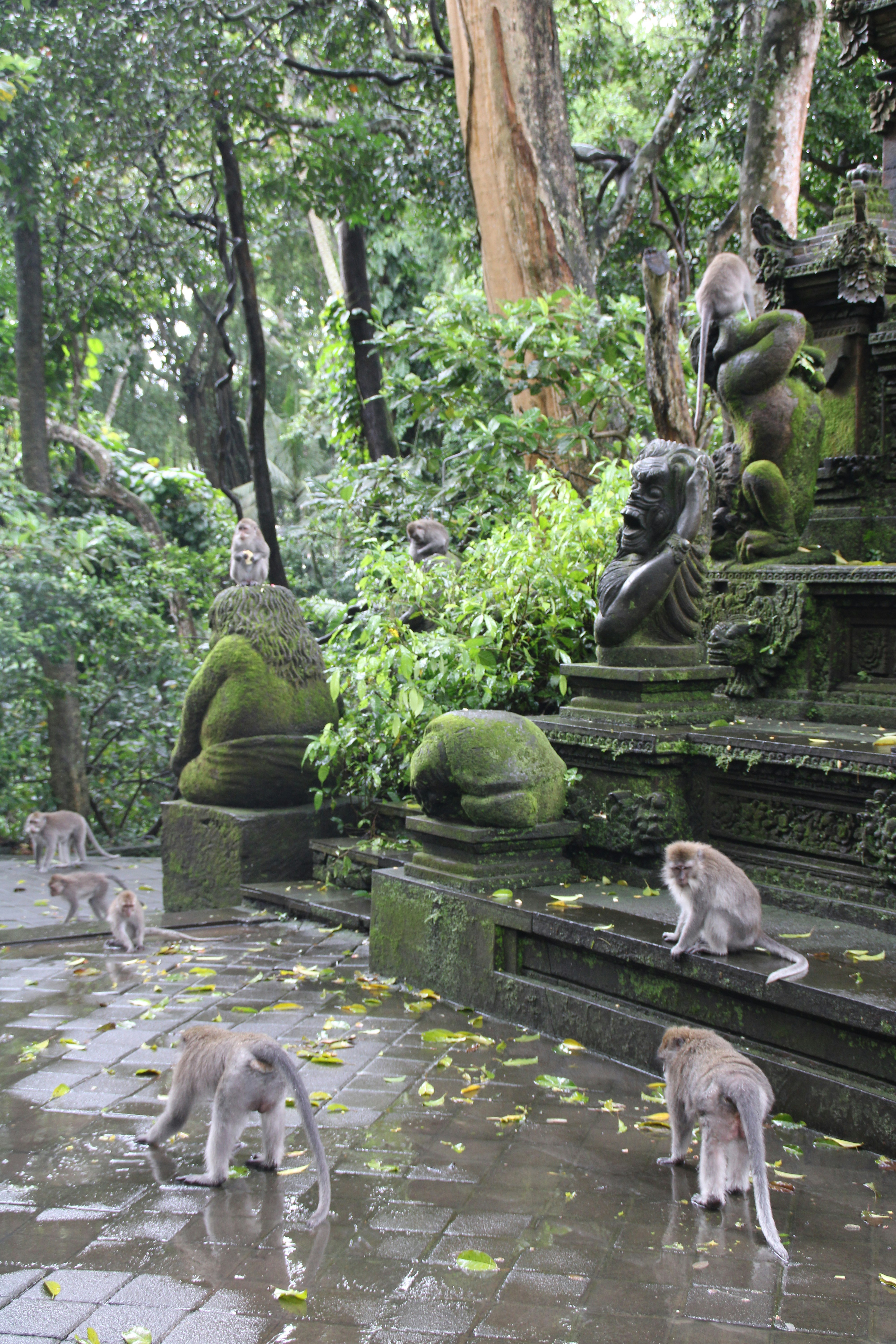 Moss-Cloaked Statues and Primate Visitors at a Forest Temple
