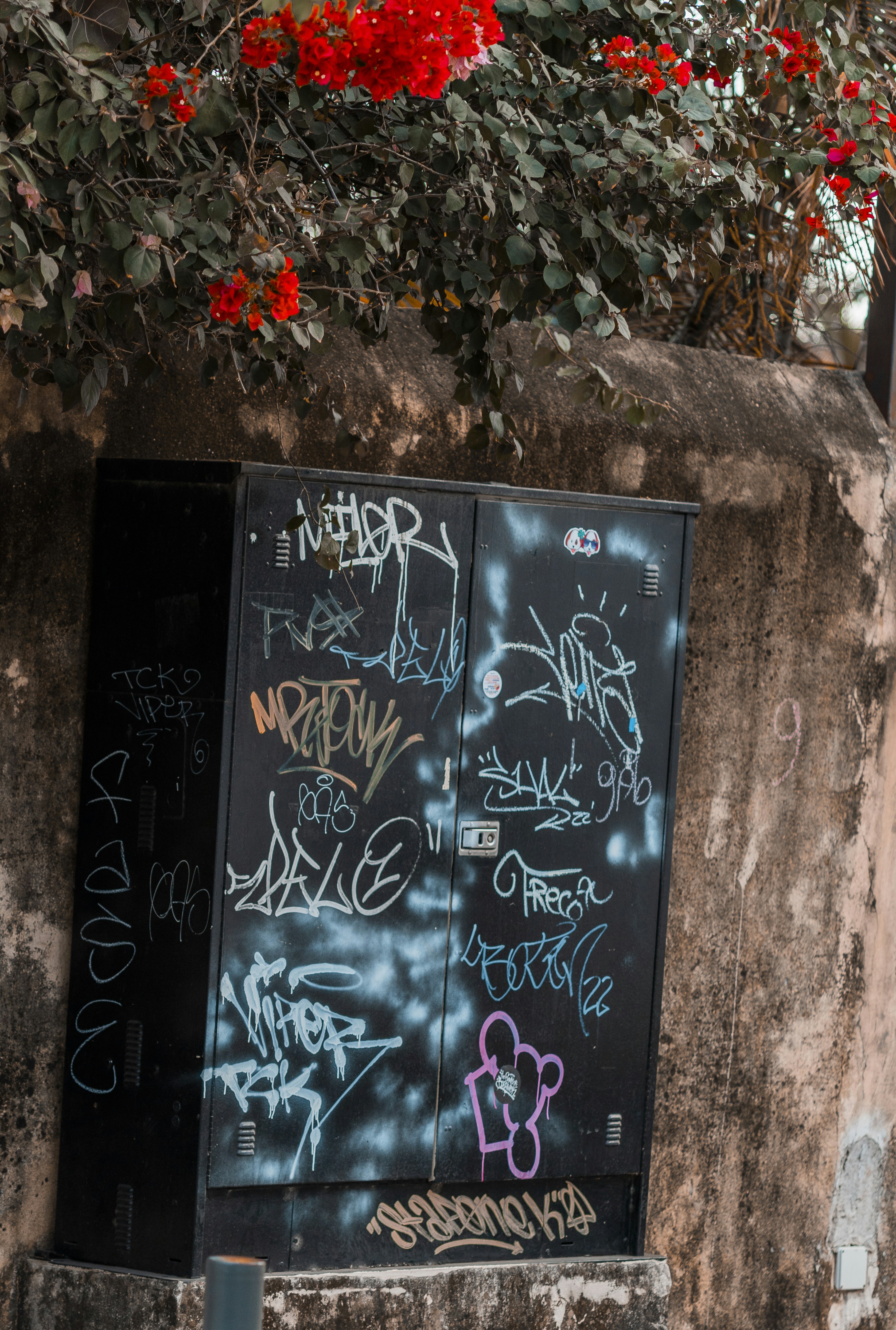 Graffiti Locker Beneath Floral Canopy