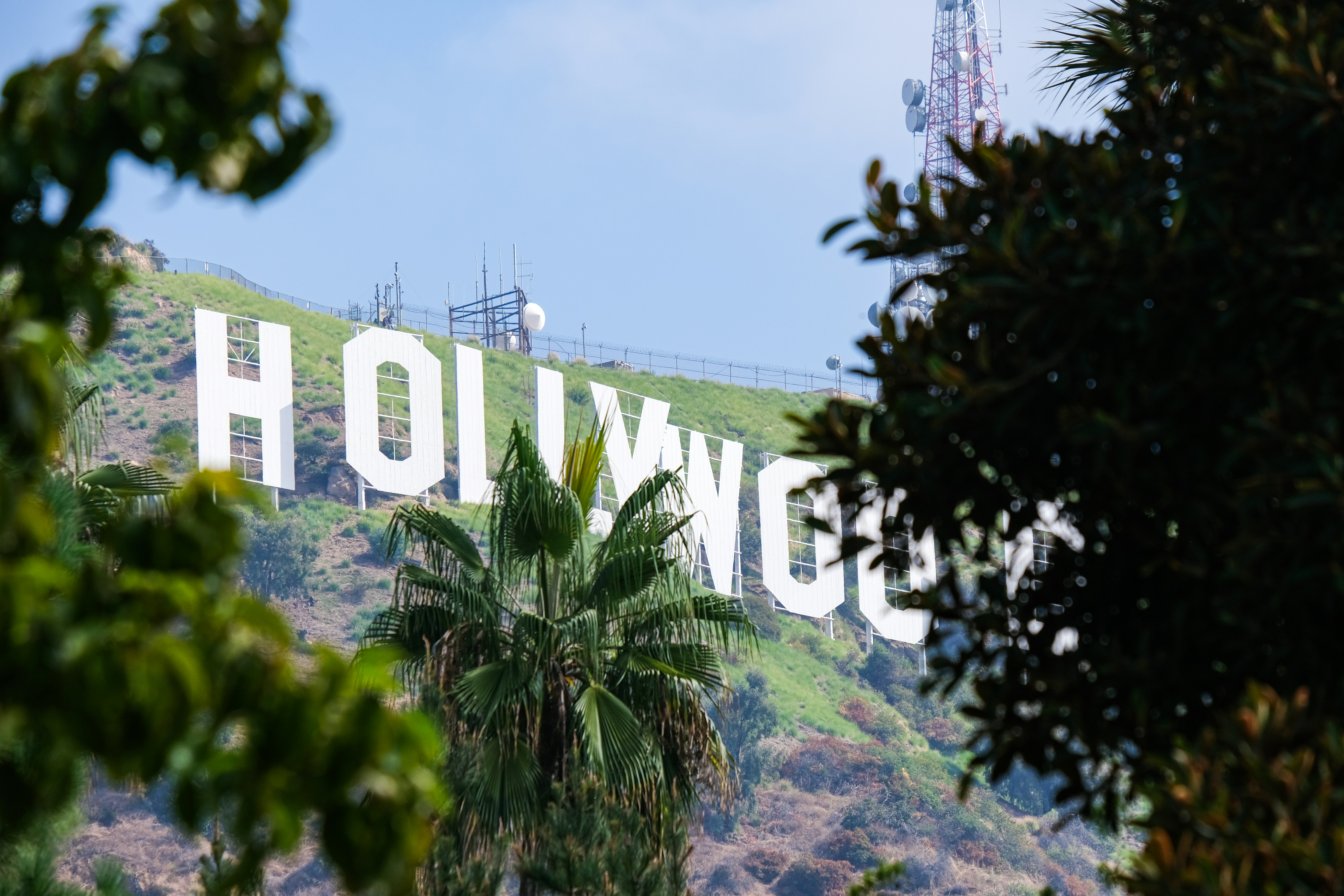 The hollywood sign is visible through the trees photo – Free Hollywood ...