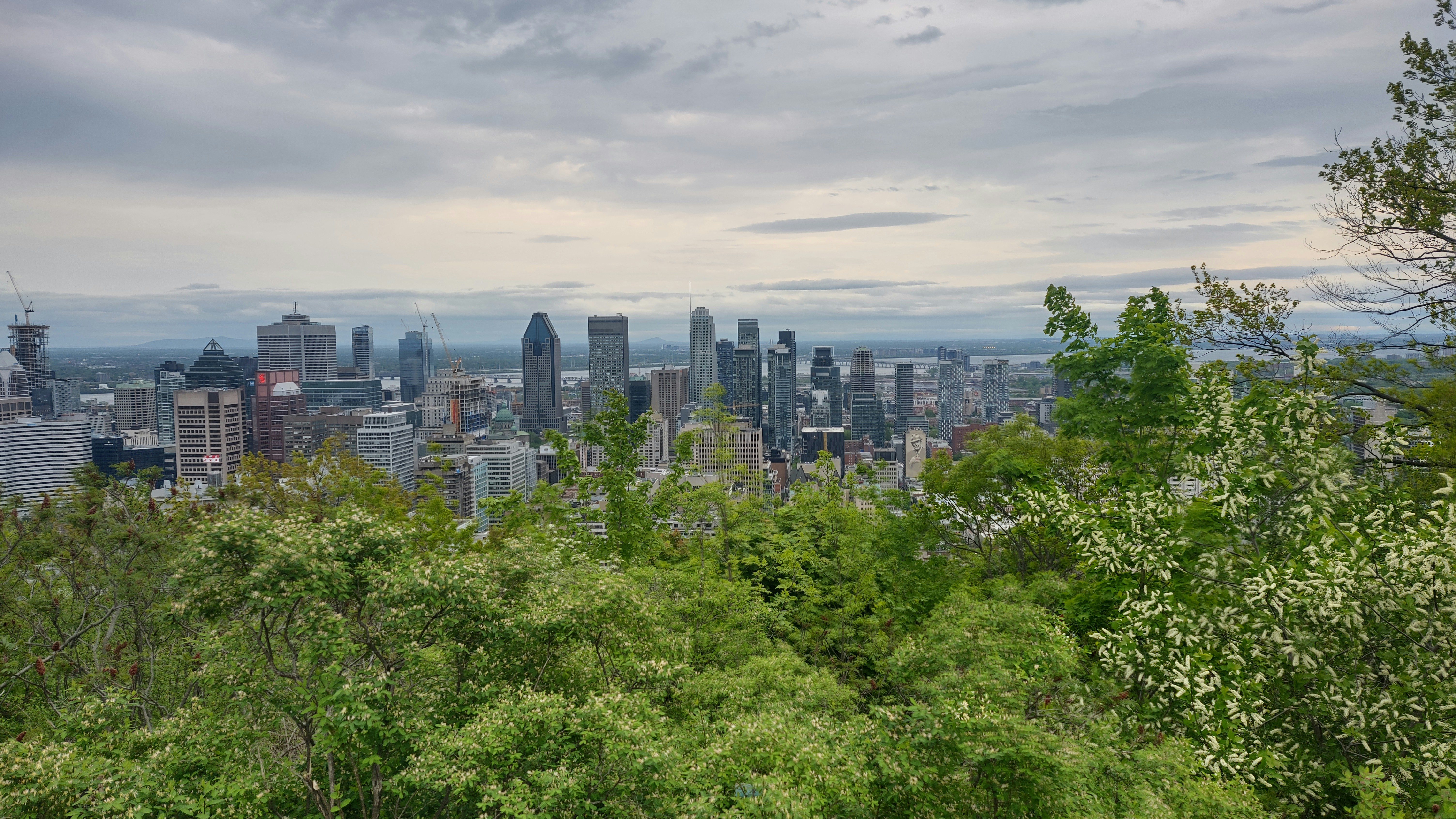 A hillside overlook reveals a distant city skyline framed by dense green foliage in the foreground. The shot emphasizes the contrast between natural greenery and urban architecture.