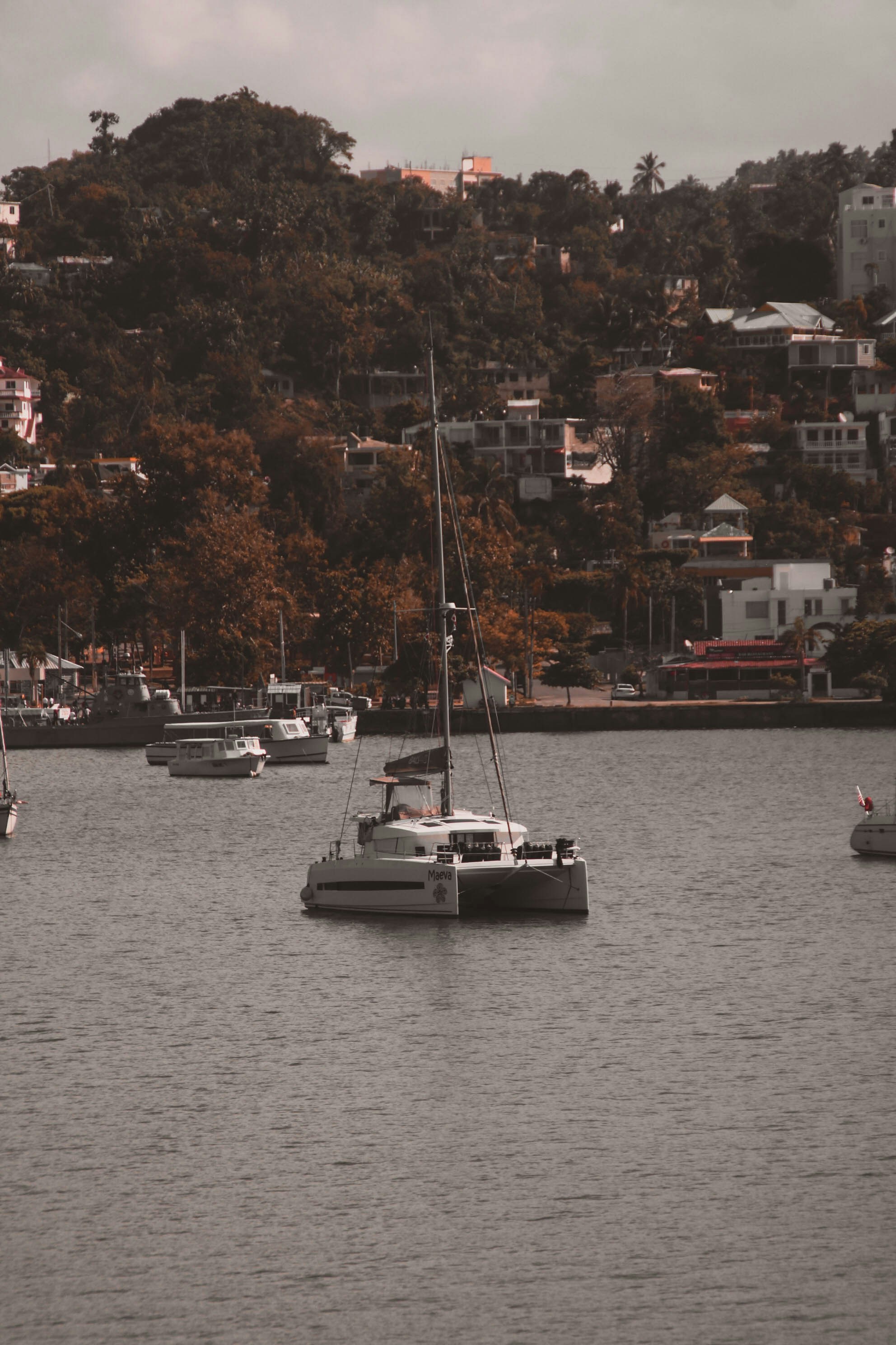 A group of boats floating on top of a lake photo – Free Samaná Image on ...