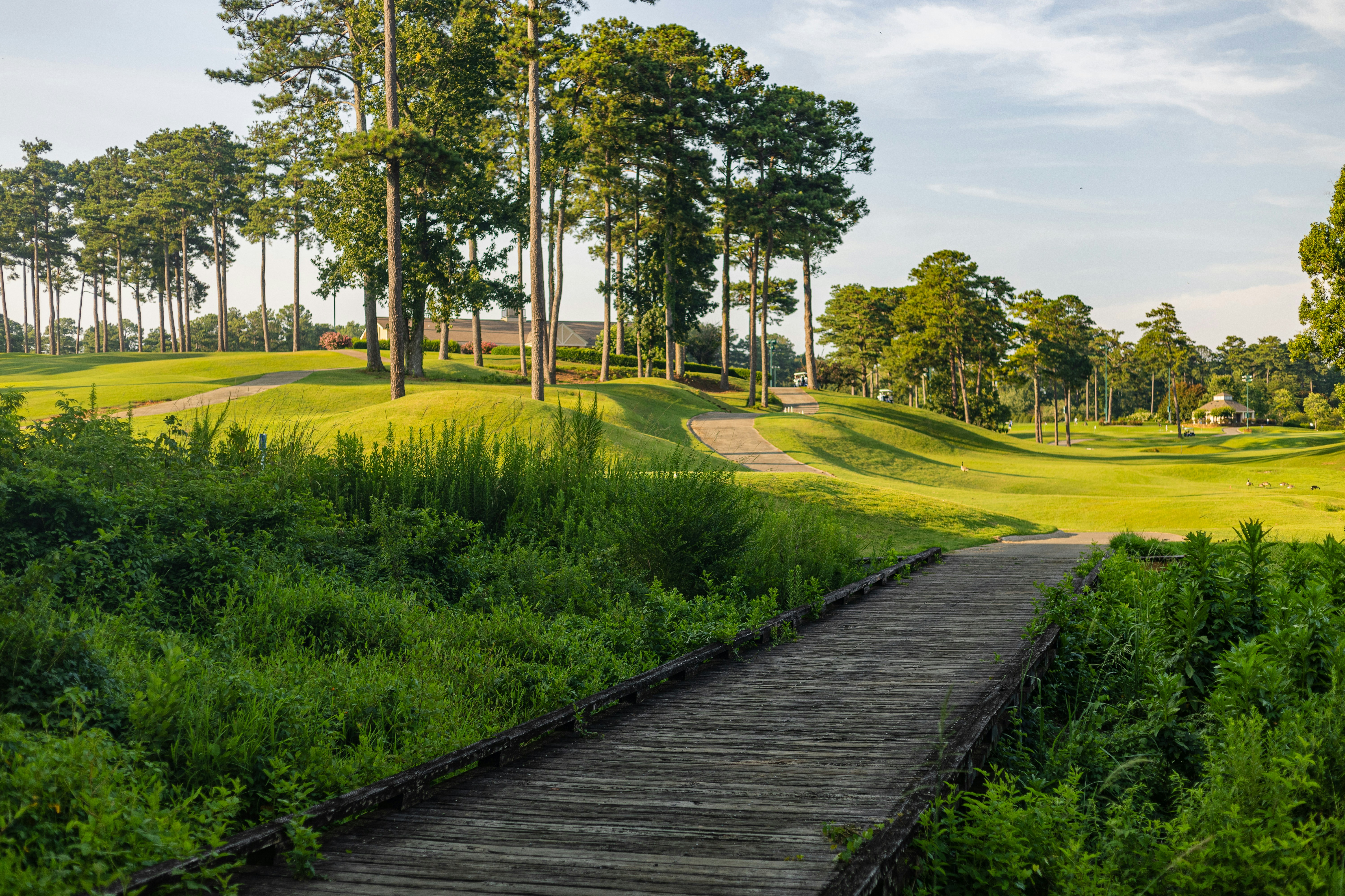 A wooden walkway leading to a green golf course photo – Free Golf Image ...