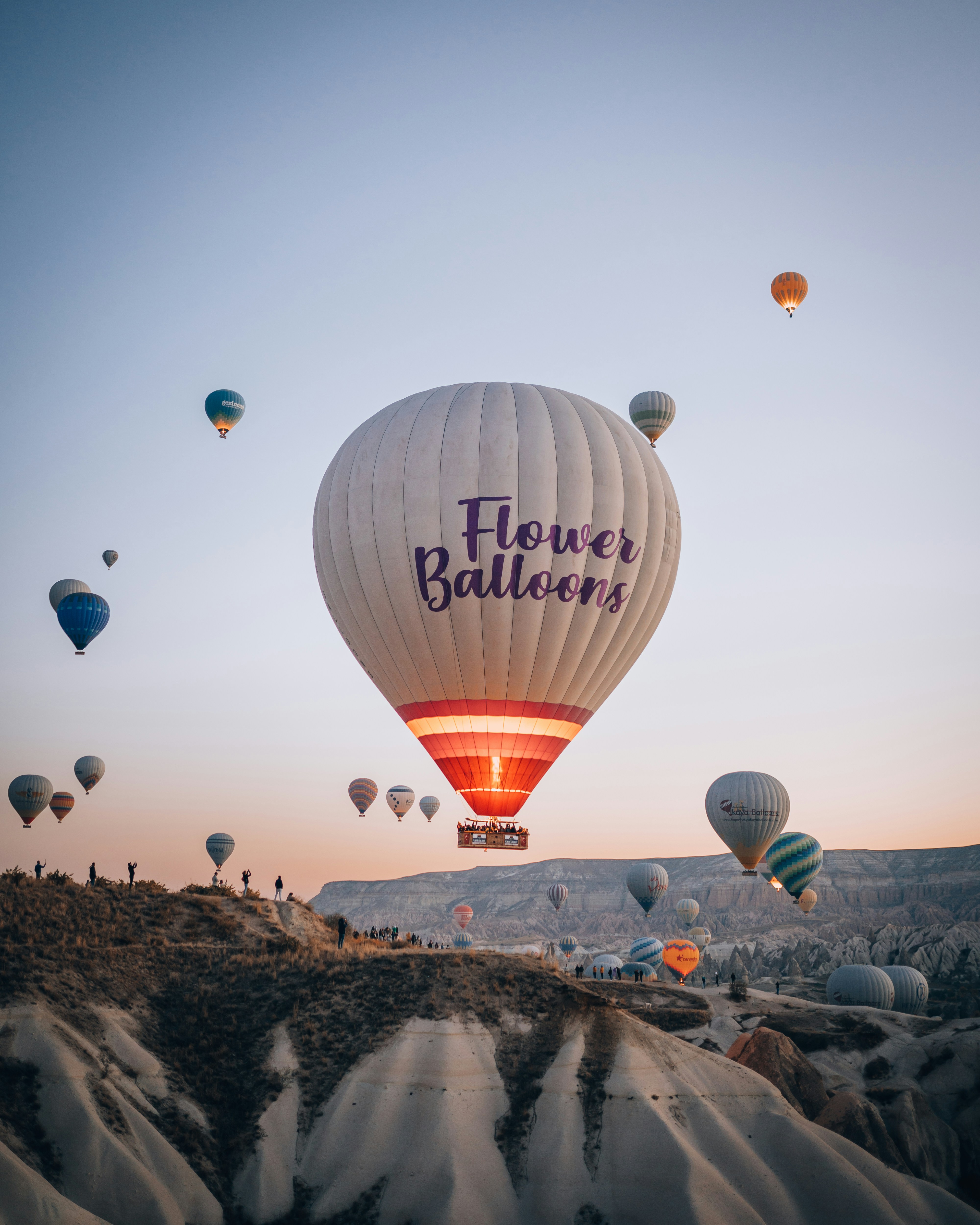 A group of hot air balloons flying in the sky photo – Free Travel Image ...