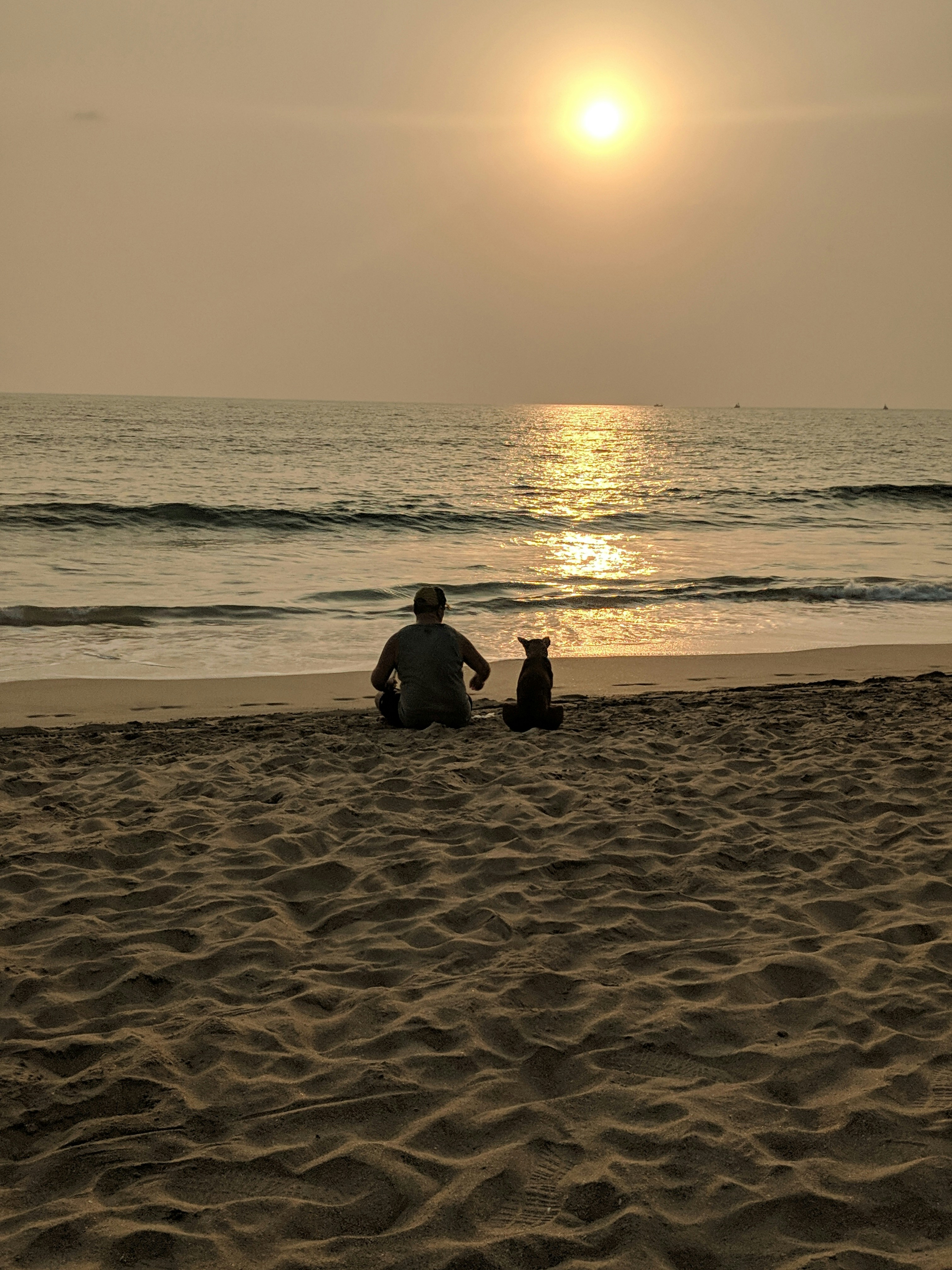 Sunlit Volley of Quiet Companions on a Dune of Sand